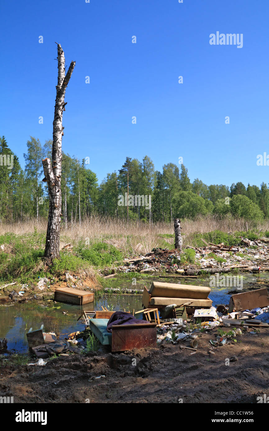 garbage pit in wood Stock Photo - Alamy