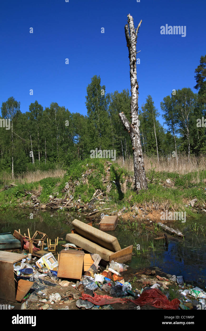garbage pit in wood Stock Photo - Alamy