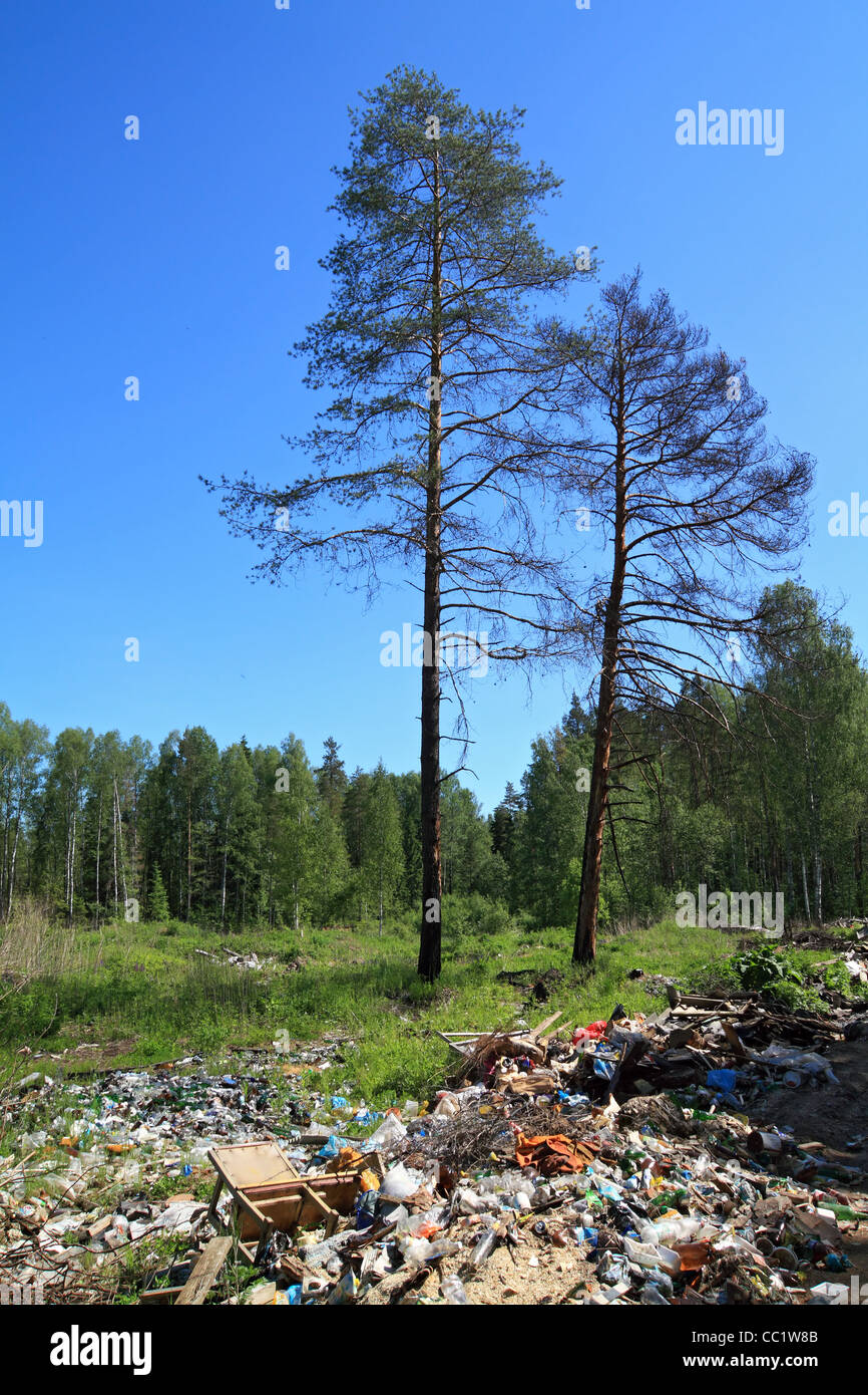 garbage pit in wood Stock Photo - Alamy