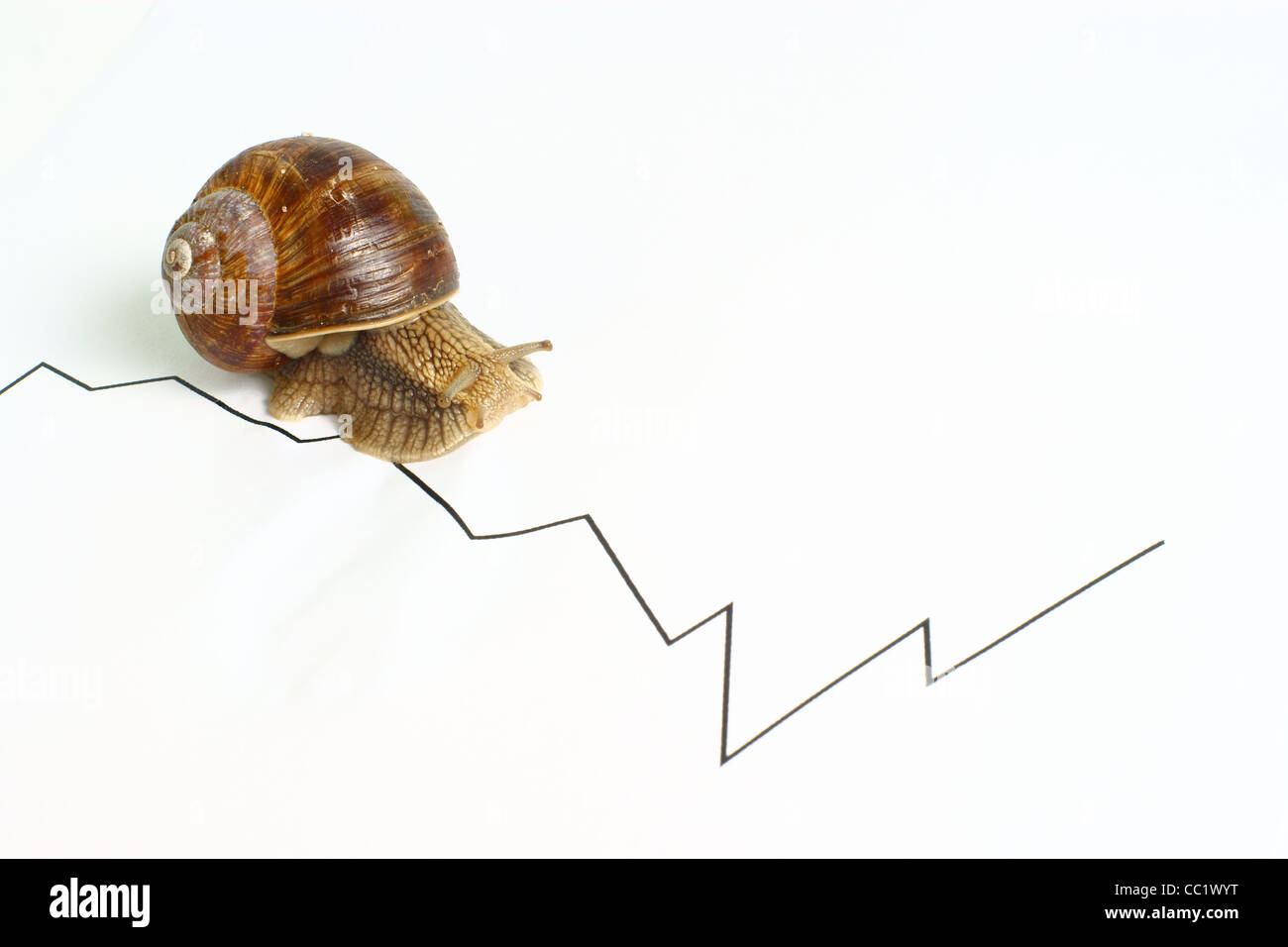 snail slow business chart Stock Photo - Alamy