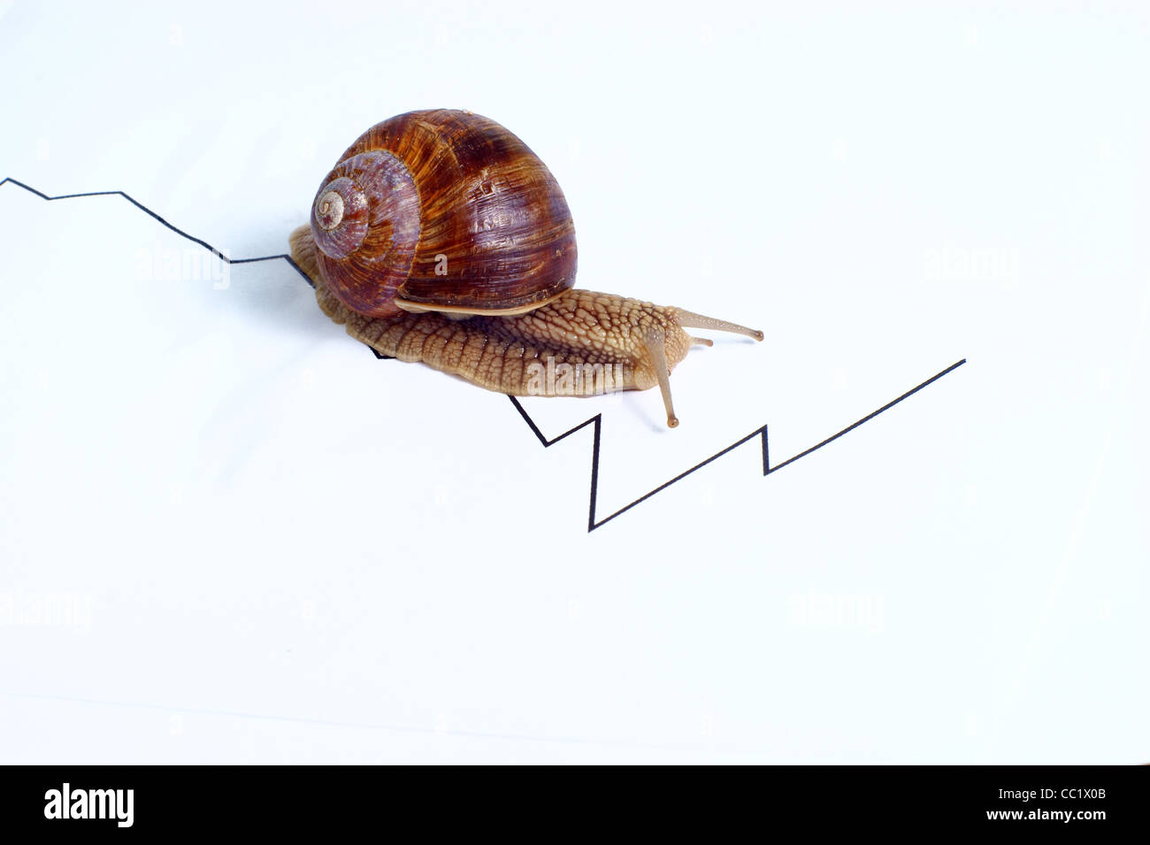snail slow business chart Stock Photo - Alamy