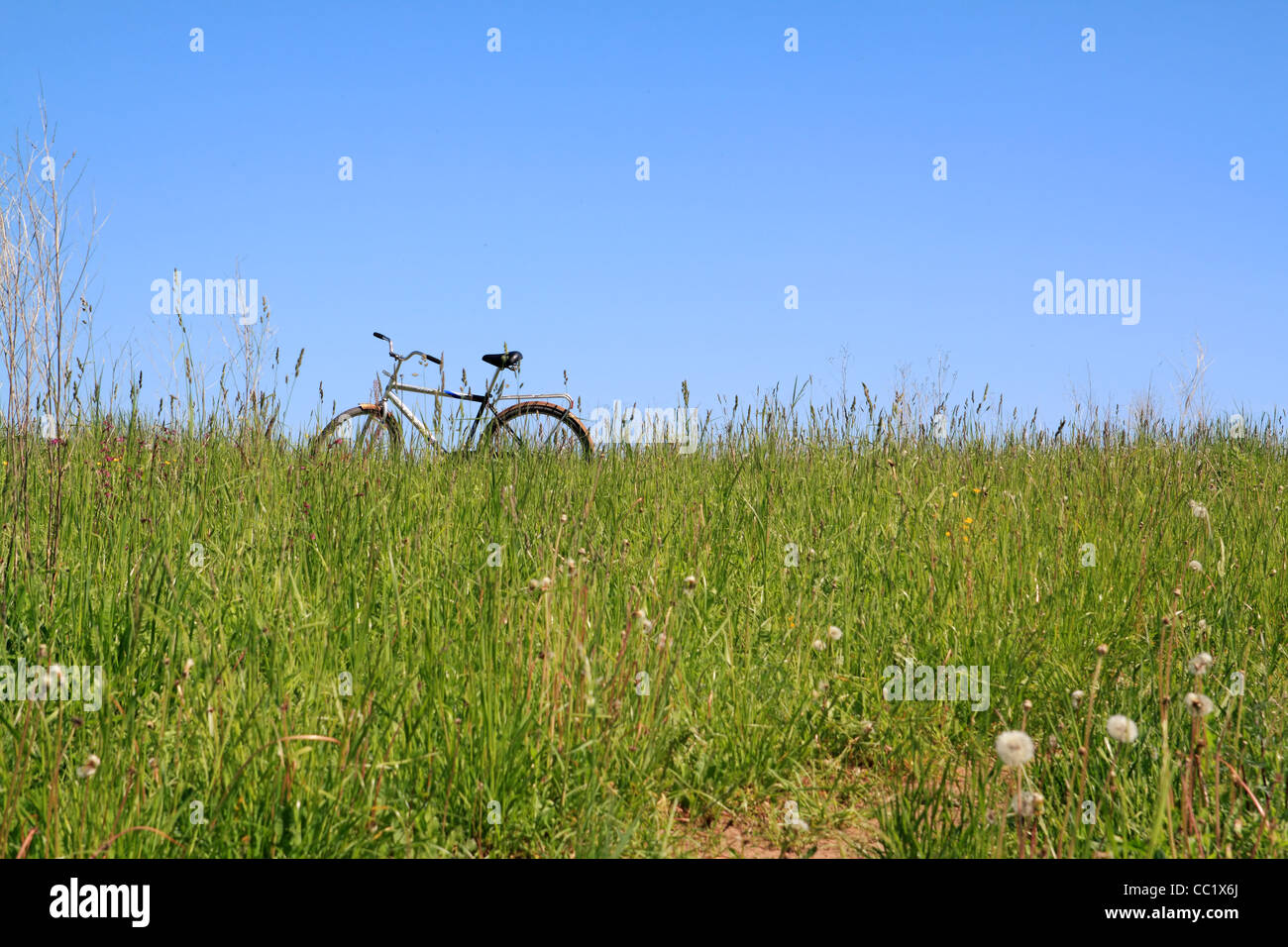 bicycle on field Stock Photo - Alamy