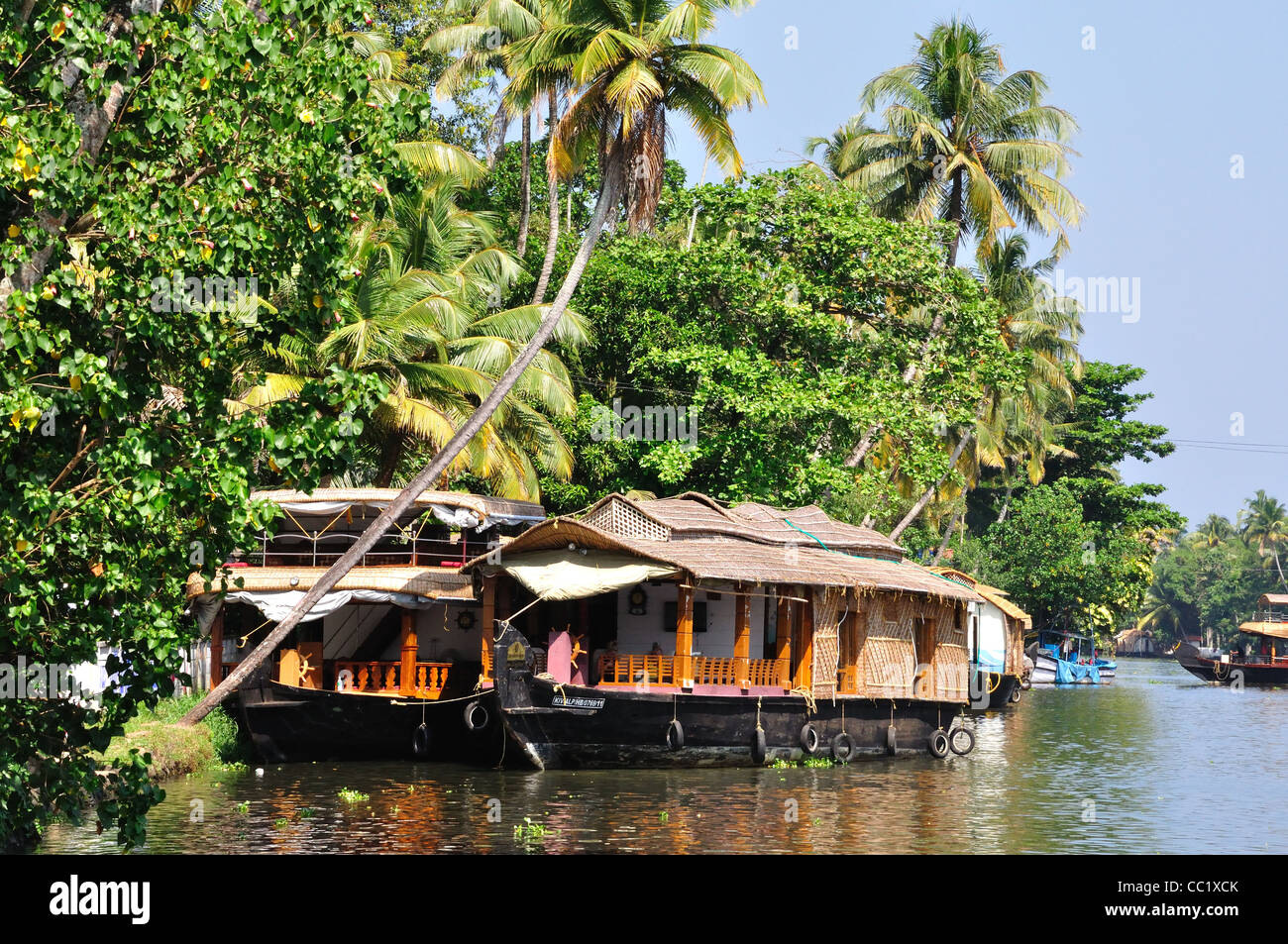Kerala Backwater Scene Stock Photo - Alamy