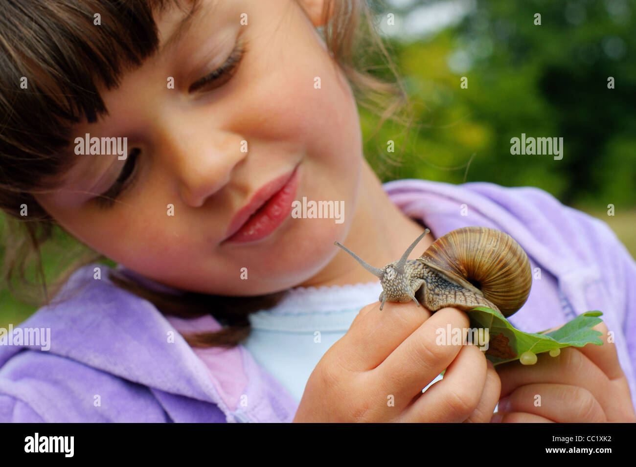 Observation garden snail on children hand hi-res stock photography and ...