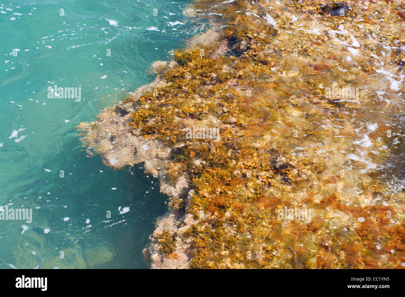 rock in the green azure sea Stock Photo - Alamy