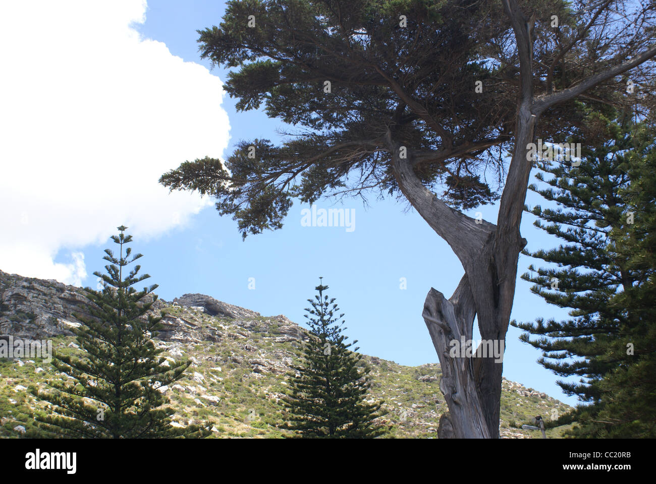 Rolling Hills, Mountain Scene Stock Photo - Alamy