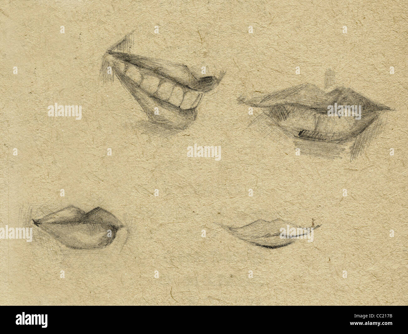 pencil drawing on paperboard Stock Photo - Alamy