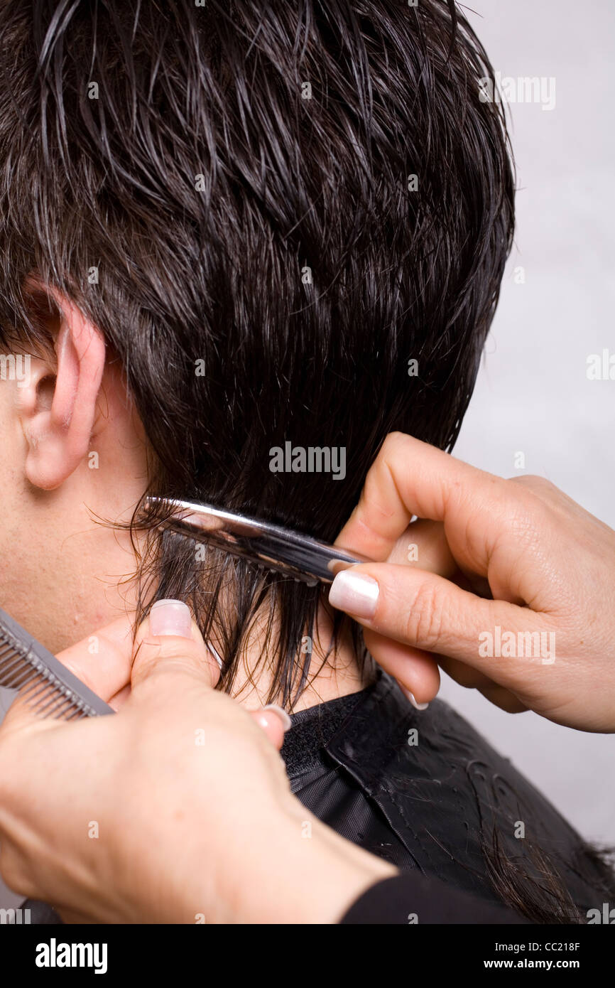 Haircutting hi-res stock photography and images - Alamy