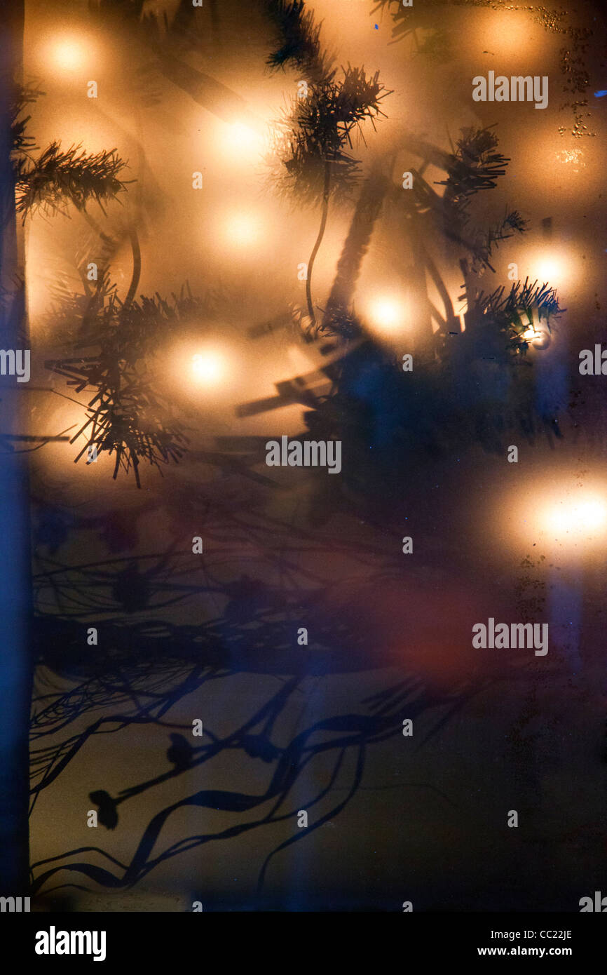 Xmas tree and Lights behind frosted glass Stock Photo - Alamy