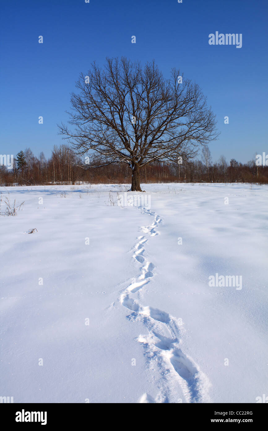 Human traces snow landscape hi-res stock photography and images - Alamy
