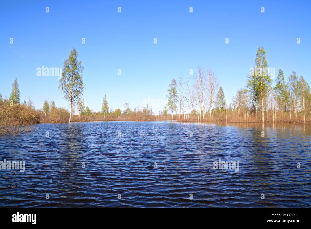 Timber river russia hi-res stock photography and images - Alamy