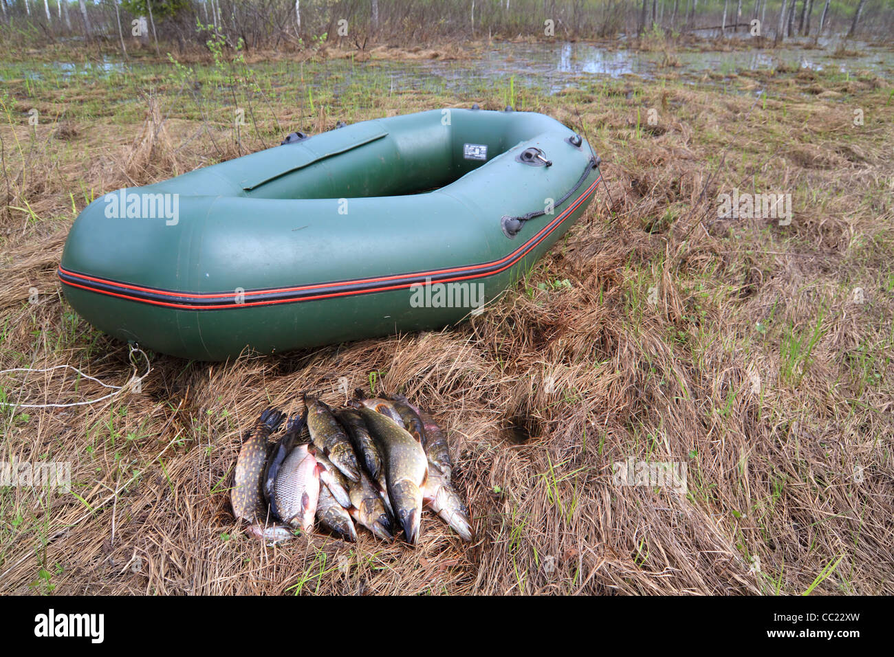 river fish near rubber boat Stock Photo - Alamy