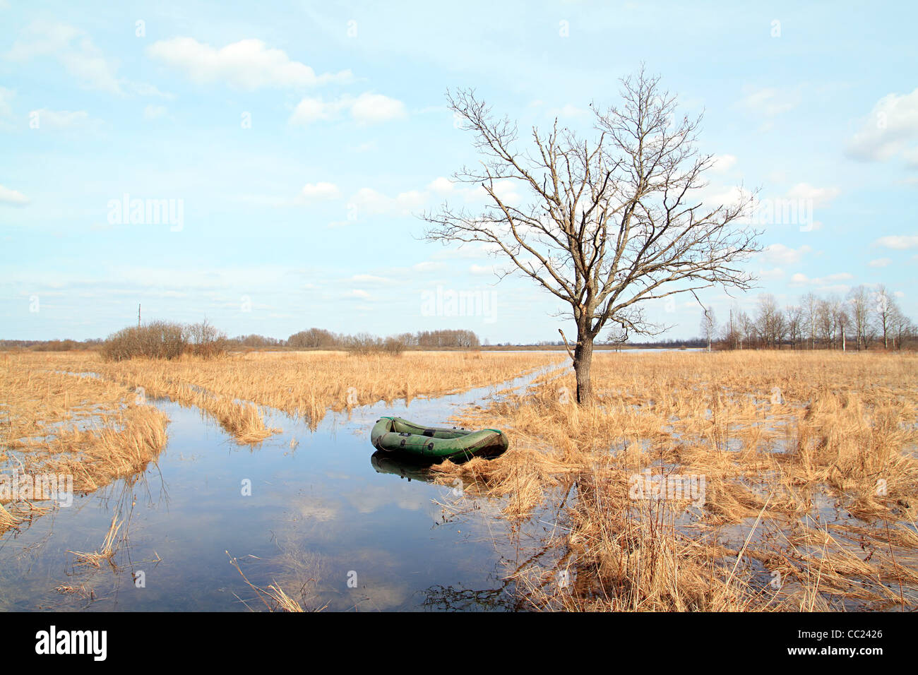 Oak tree near pond hi-res stock photography and images - Alamy