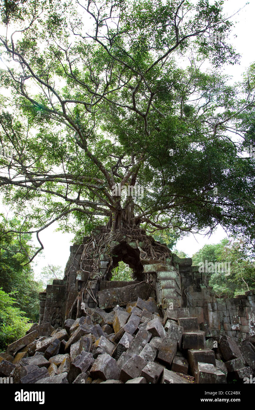 Beng Mealea, temple in the Angkor Wat style and tourist attraction ...