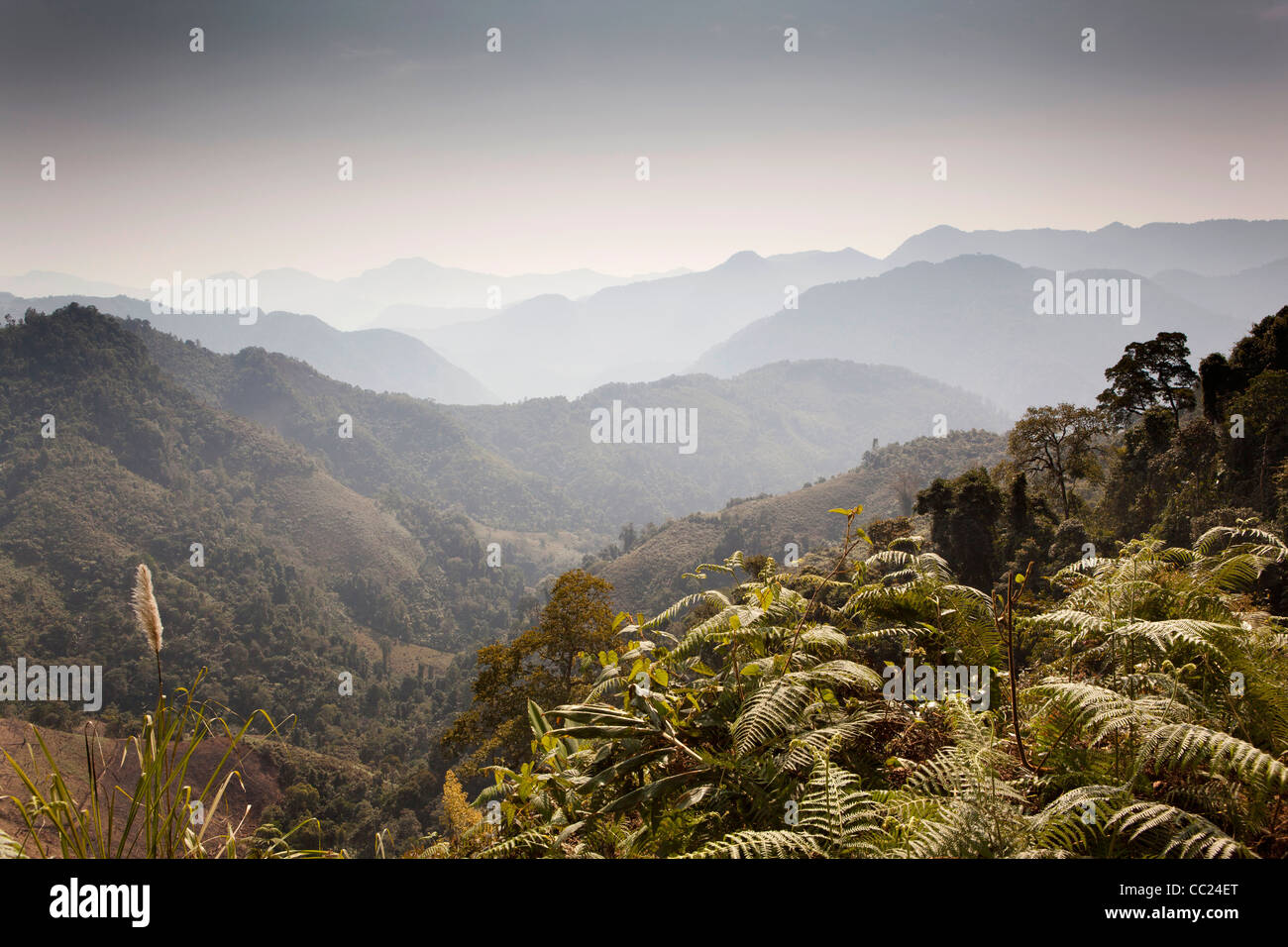 India, Arunachal Pradesh, mountainous landscape above Ziro in early ...