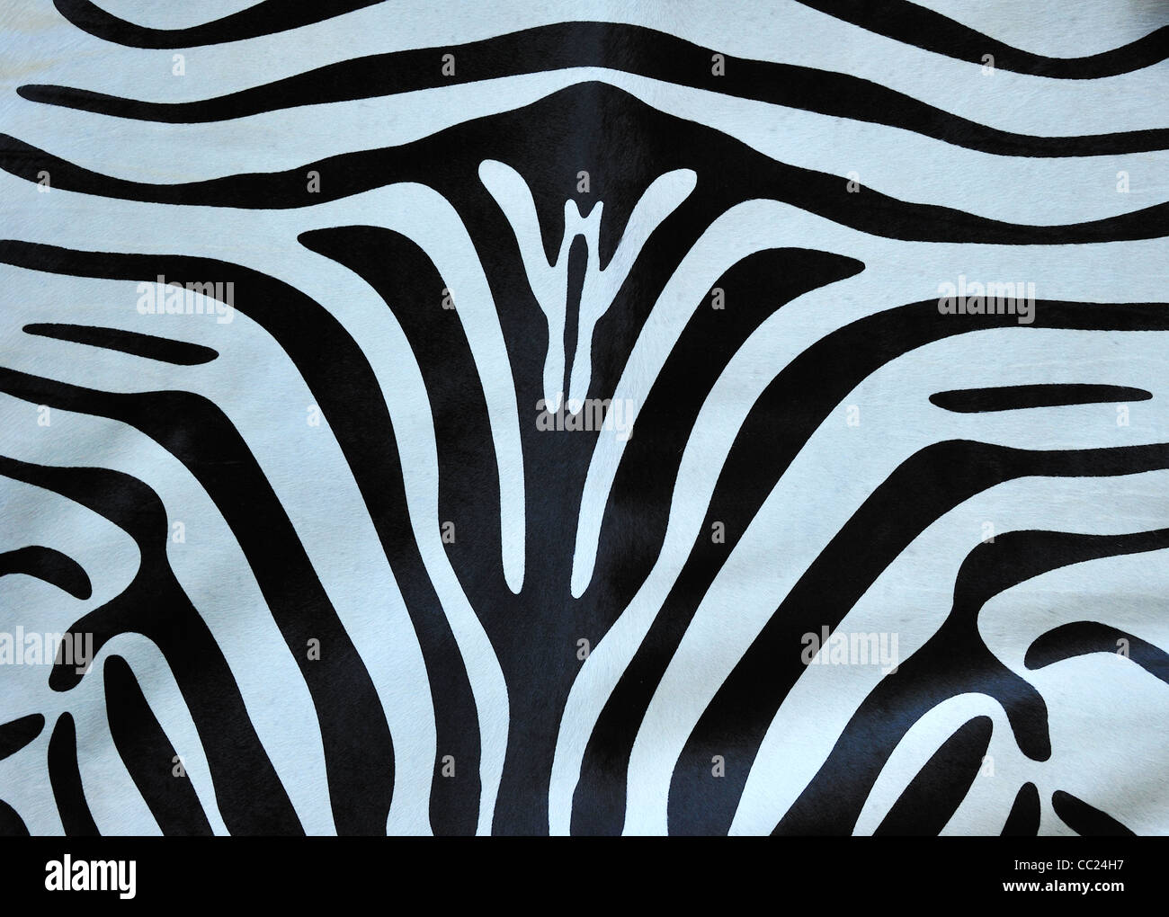 Zebra skin hi-res stock photography and images - Alamy