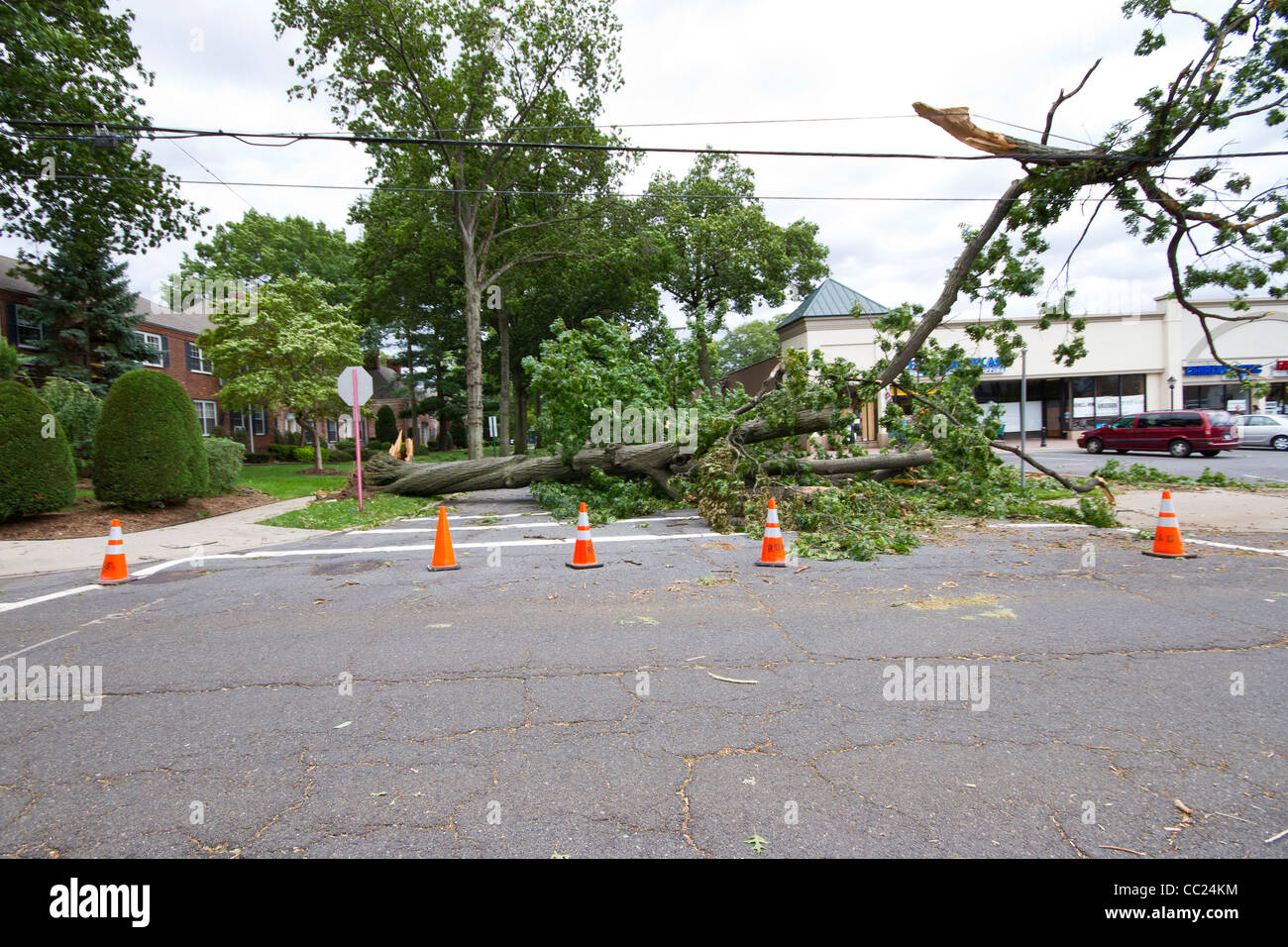Broken tree blocks street - Hurricane Irene aftermath, New Jersey Stock ... Broken tree blocks street - Hurricane Irene aftermath, New Jersey Stock ...