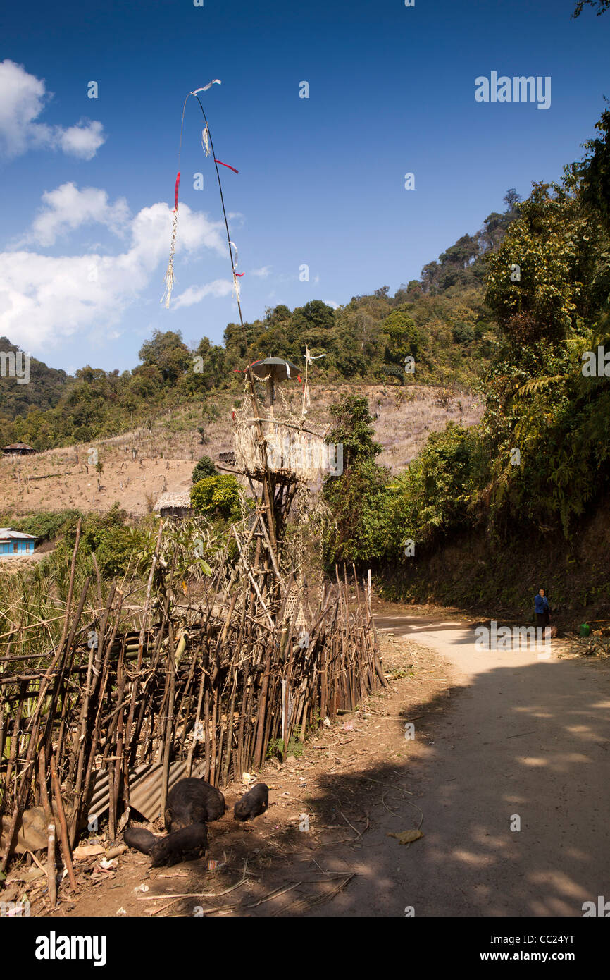 India, Arunachal Pradesh, Lower Subansiri district, umbrella shading ...