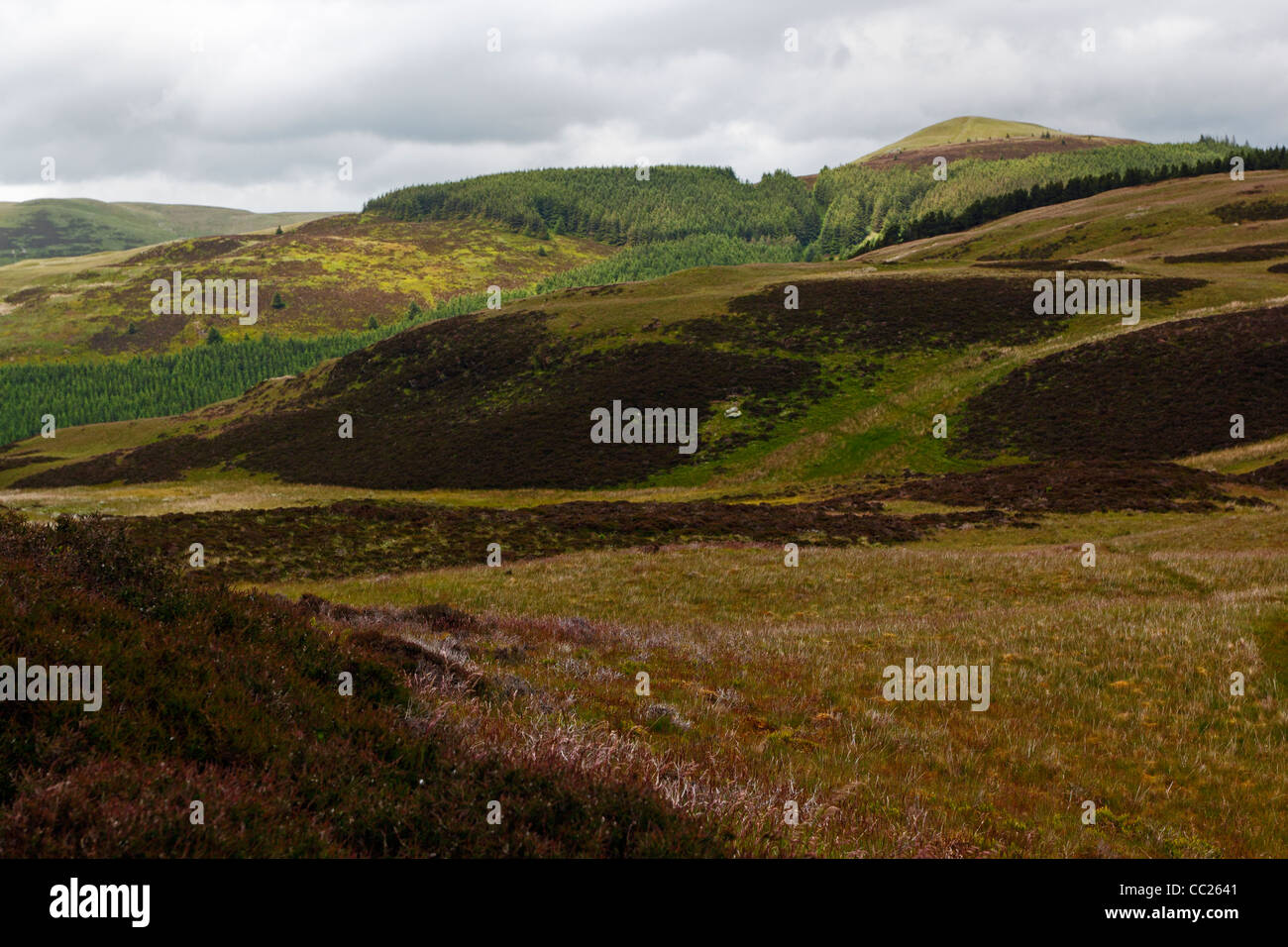 Lord's Seat near Keswick in the Lake District National Park, Cumbria ...