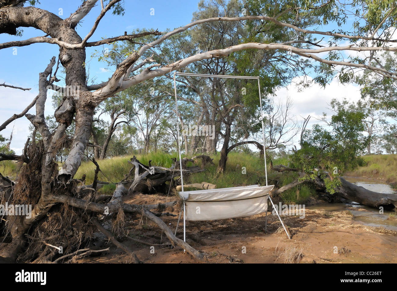 Harp Trap for bats, located across a creek in Queensland, Australia ...