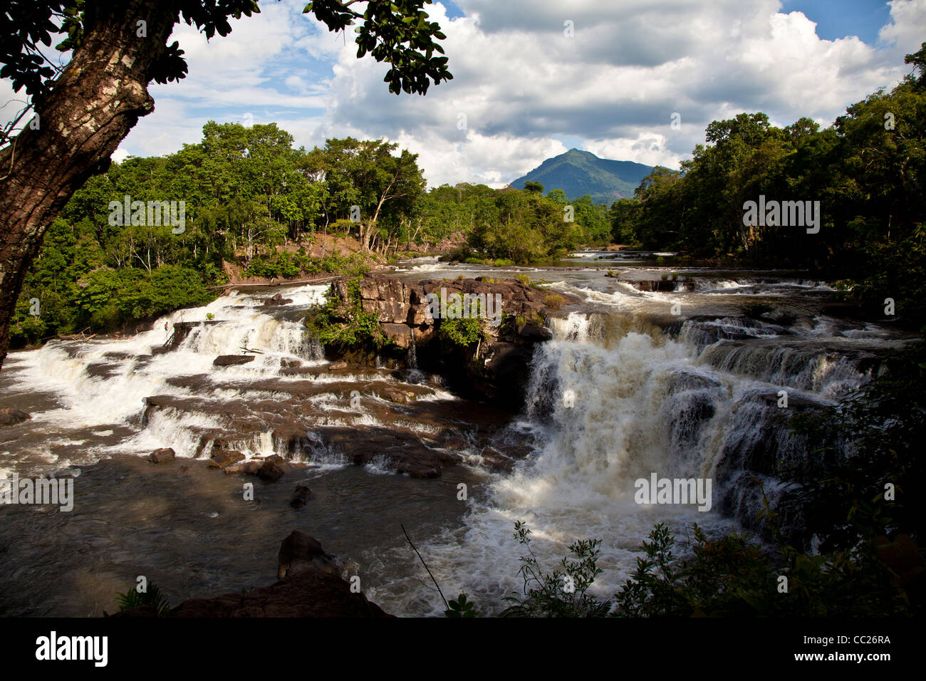 The waterfall of Tad Lo on the Bolaven Plateau near Pakse, Laos Stock ...