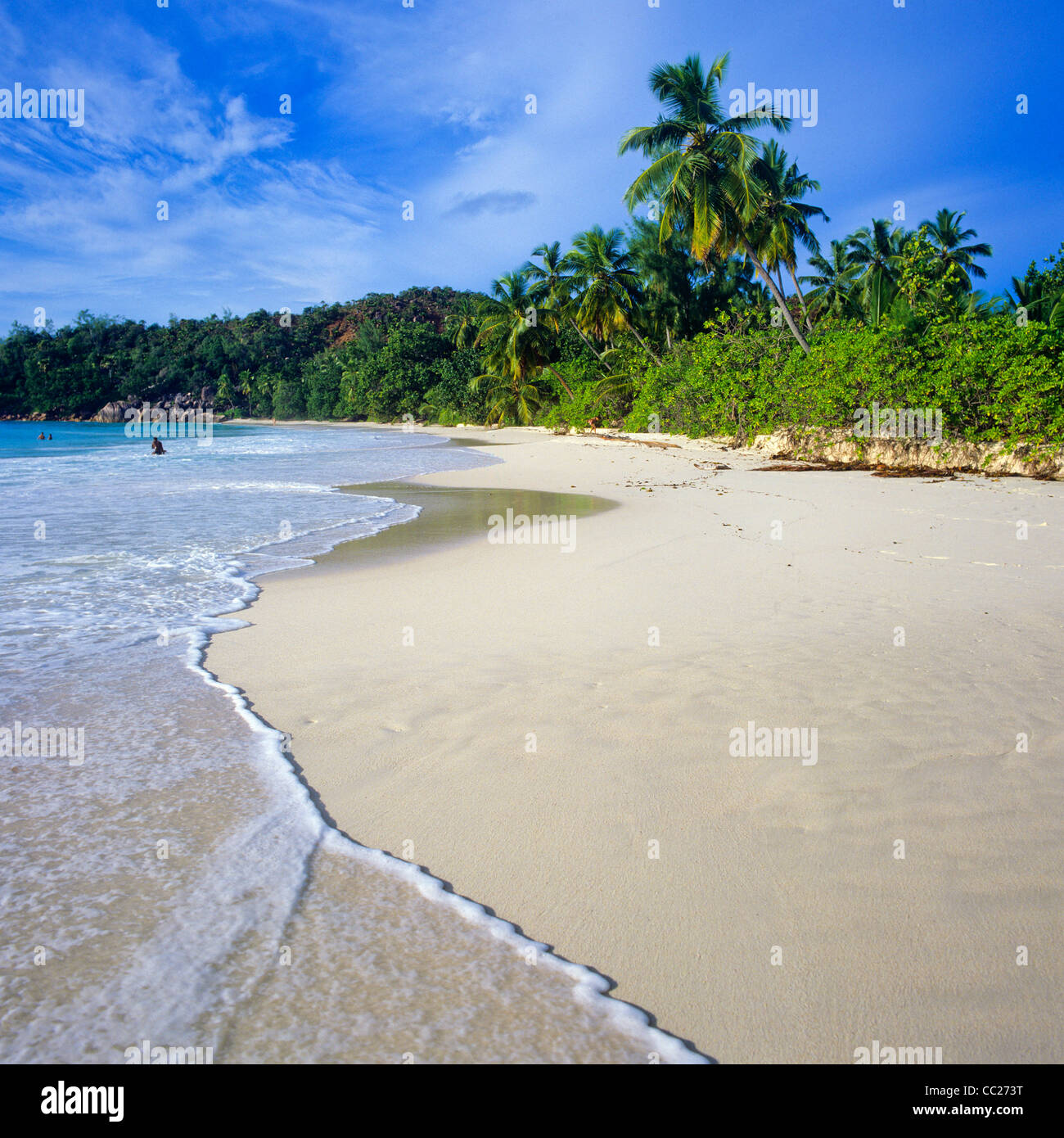 Sandy beach with palm trees, Praslin island, Seychelles Stock Photo - Alamy