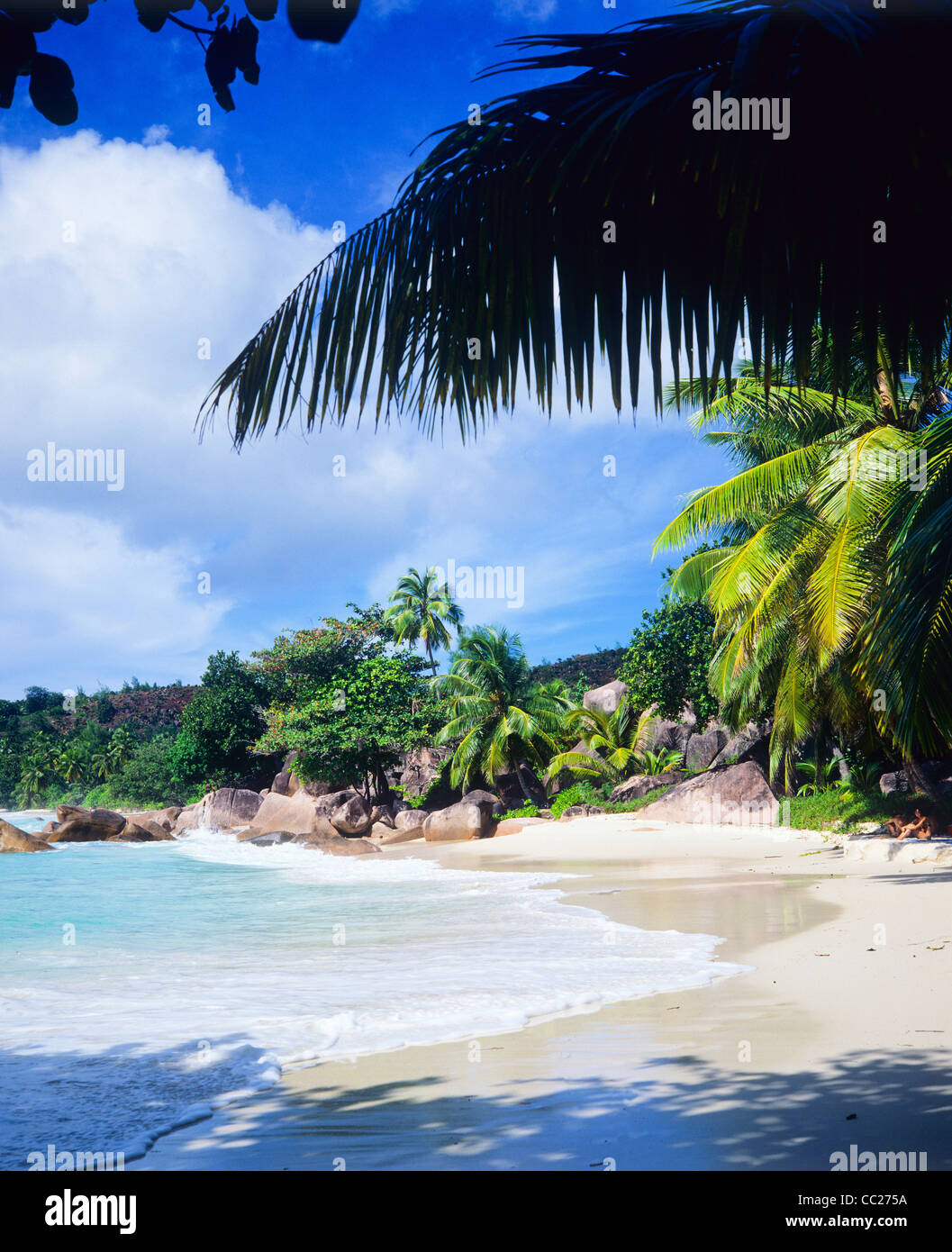 Beach with palm trees, Praslin island, Seychelles Stock Photo - Alamy
