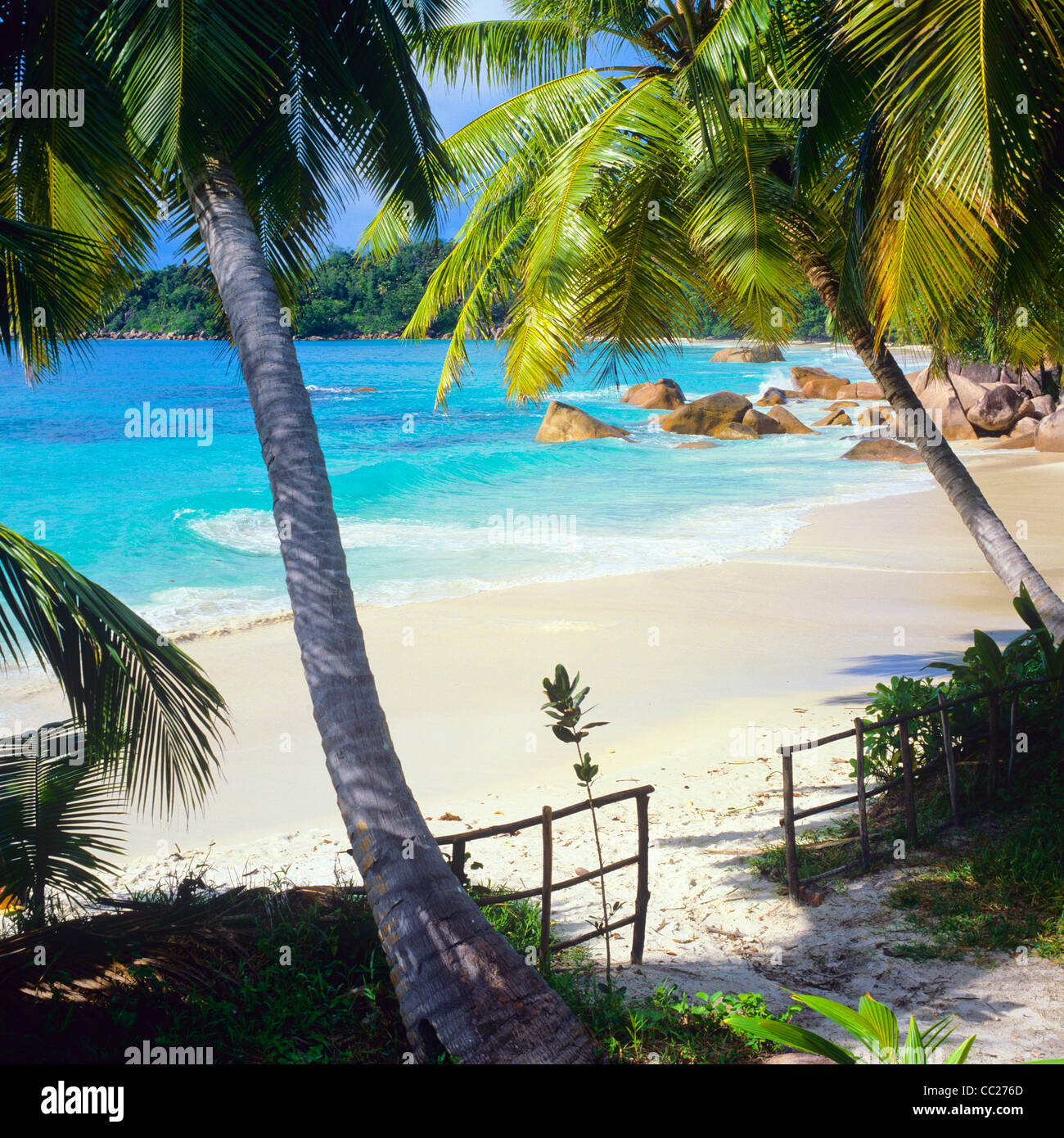 Beach with palm trees, sea, Praslin island, Seychelles Stock Photo - Alamy