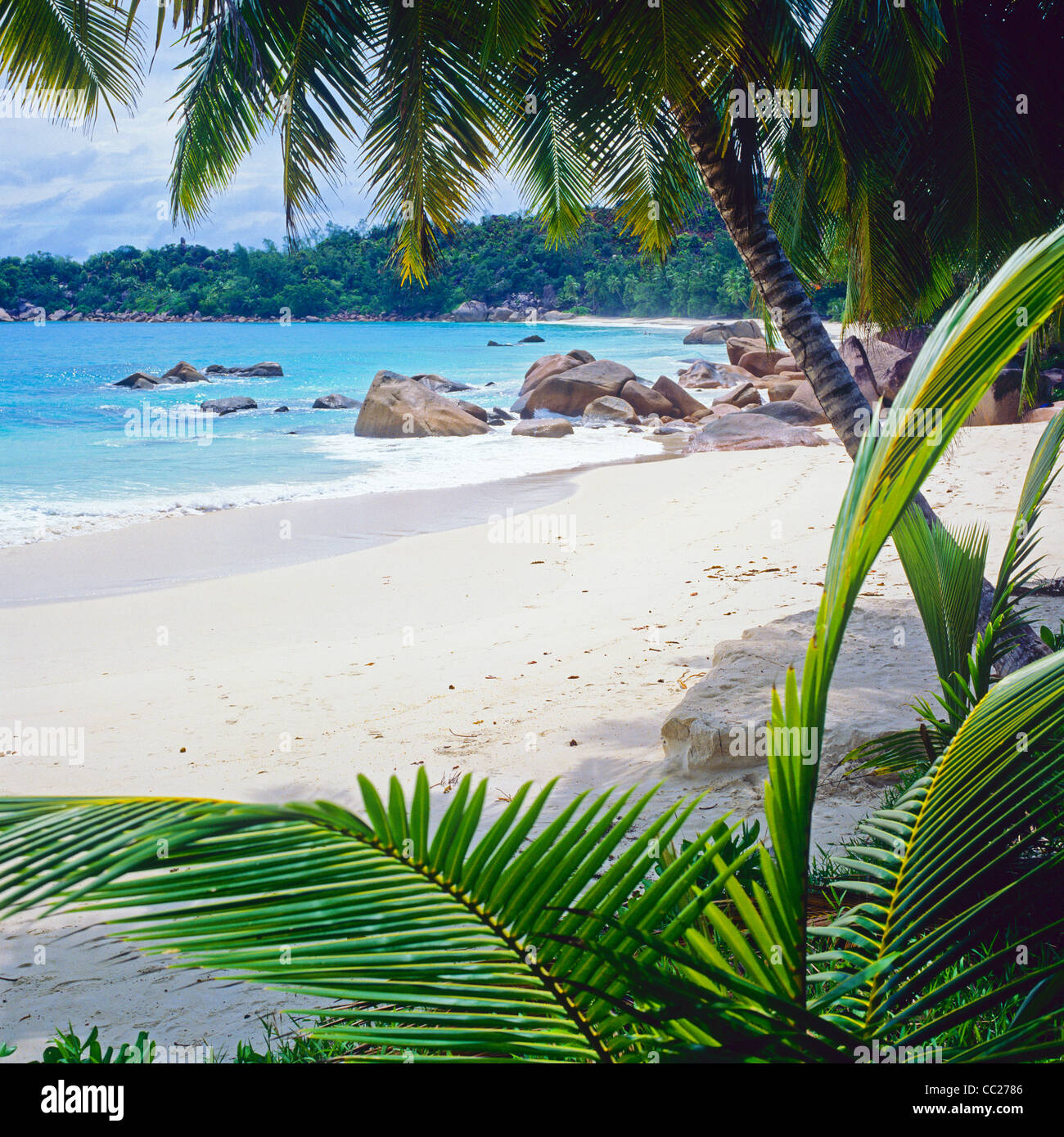 Beach with palm trees and granite rocks, sea, Praslin island ...