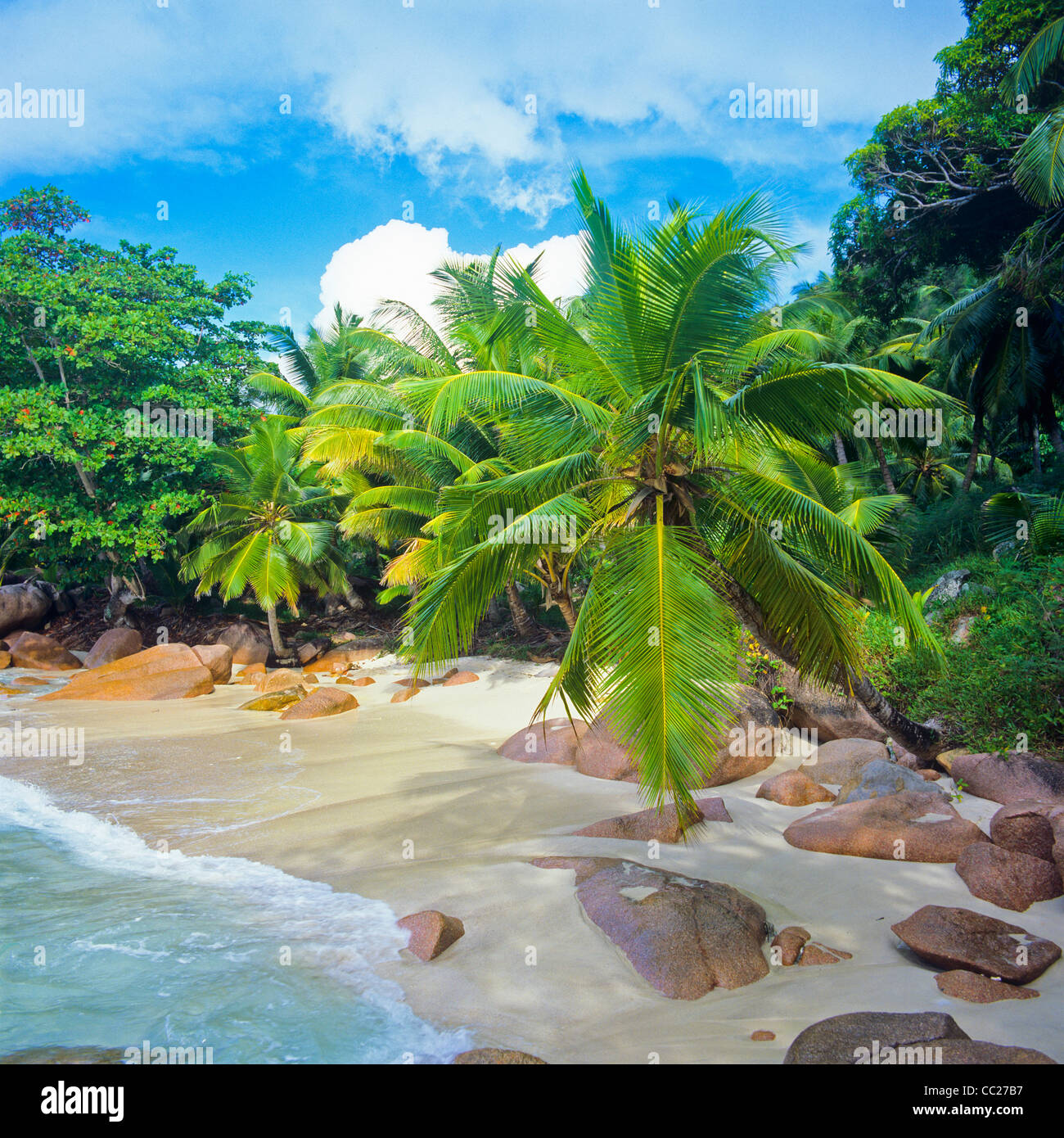 Beach with palm trees and granite rocks, Praslin island, Seychelles ...