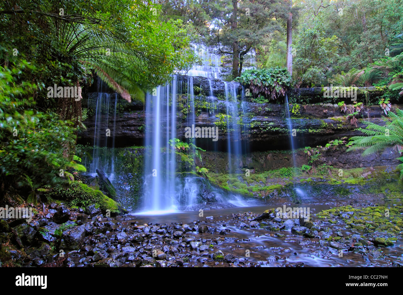 Russell Falls - Land of the giants campground, Tasmania Stock Photo - Alamy
