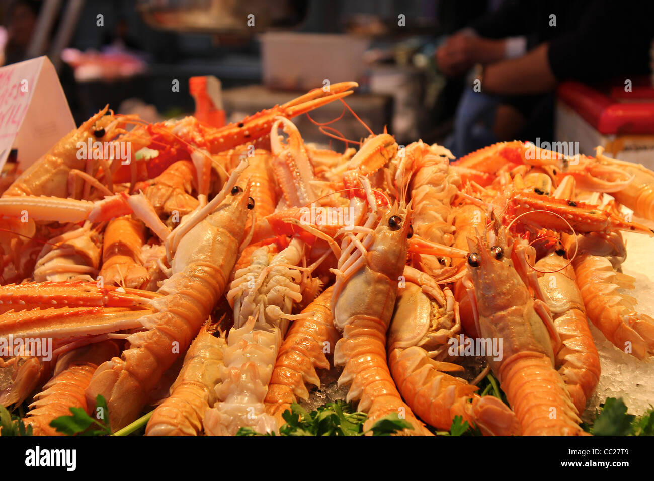 Fresh caught seafood on display at the Mercado Central, a popular ...