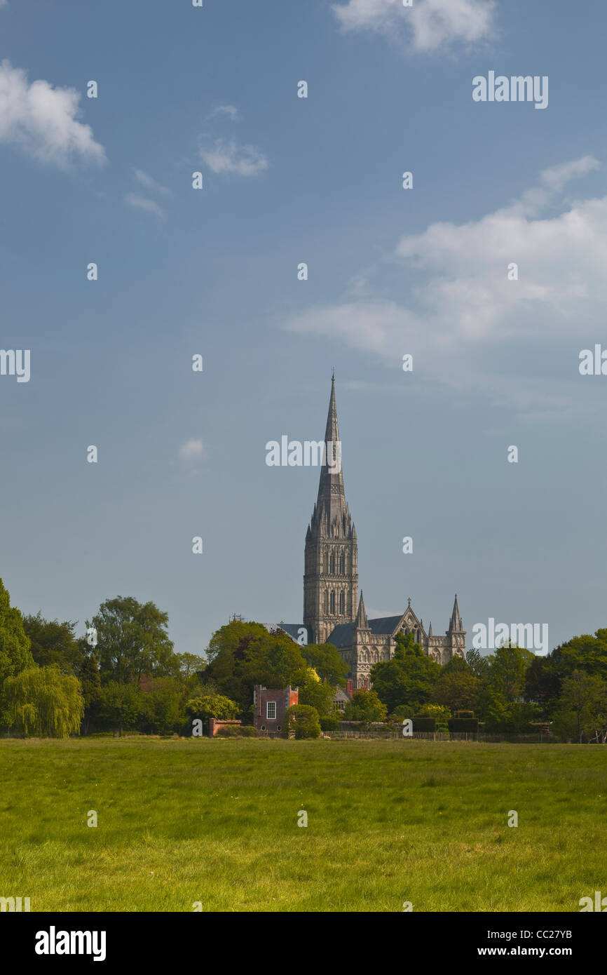 Salisbury cathedral water meadows hi-res stock photography and images ...