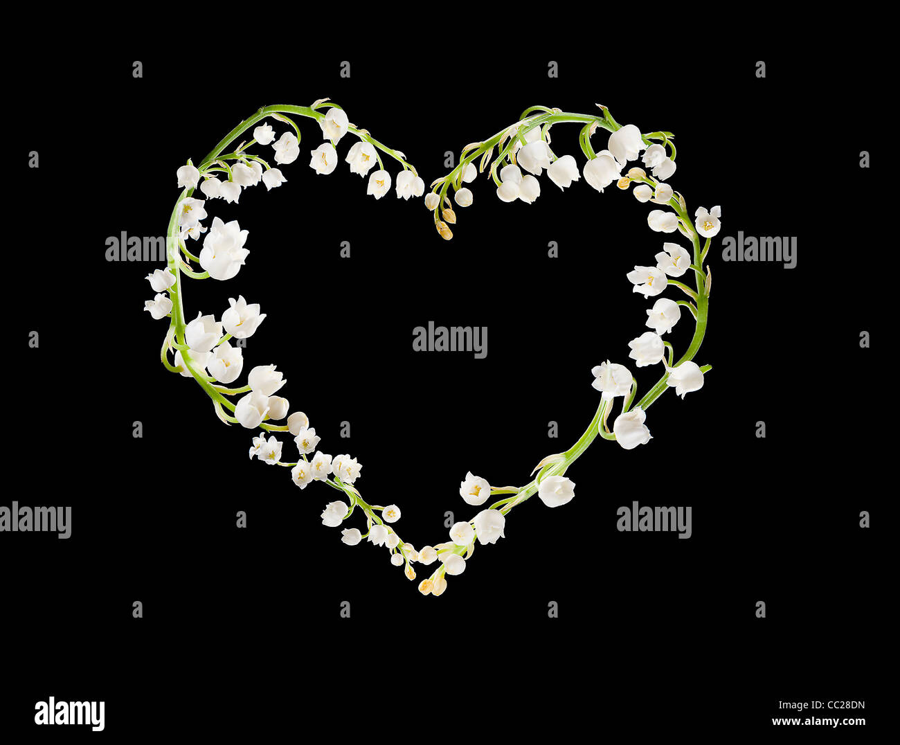 Heart shape made of lily-of-the-valley flowers Stock Photo - Alamy