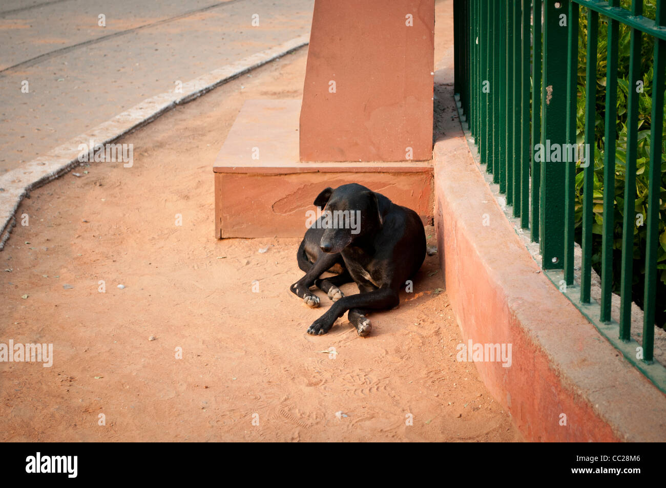 Dog fort hi-res stock photography and images - Alamy