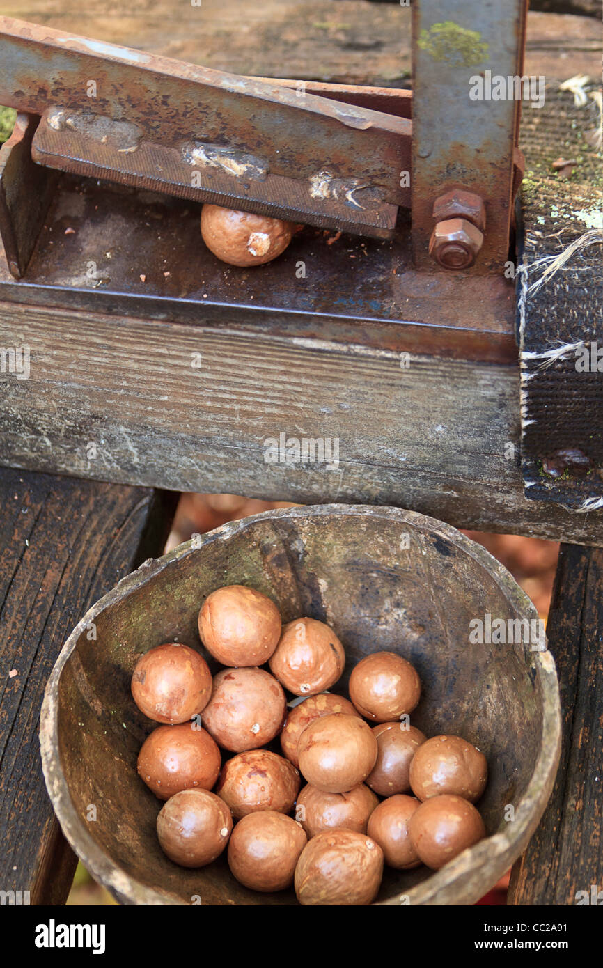 Crush nuts hi-res stock photography and images - Alamy