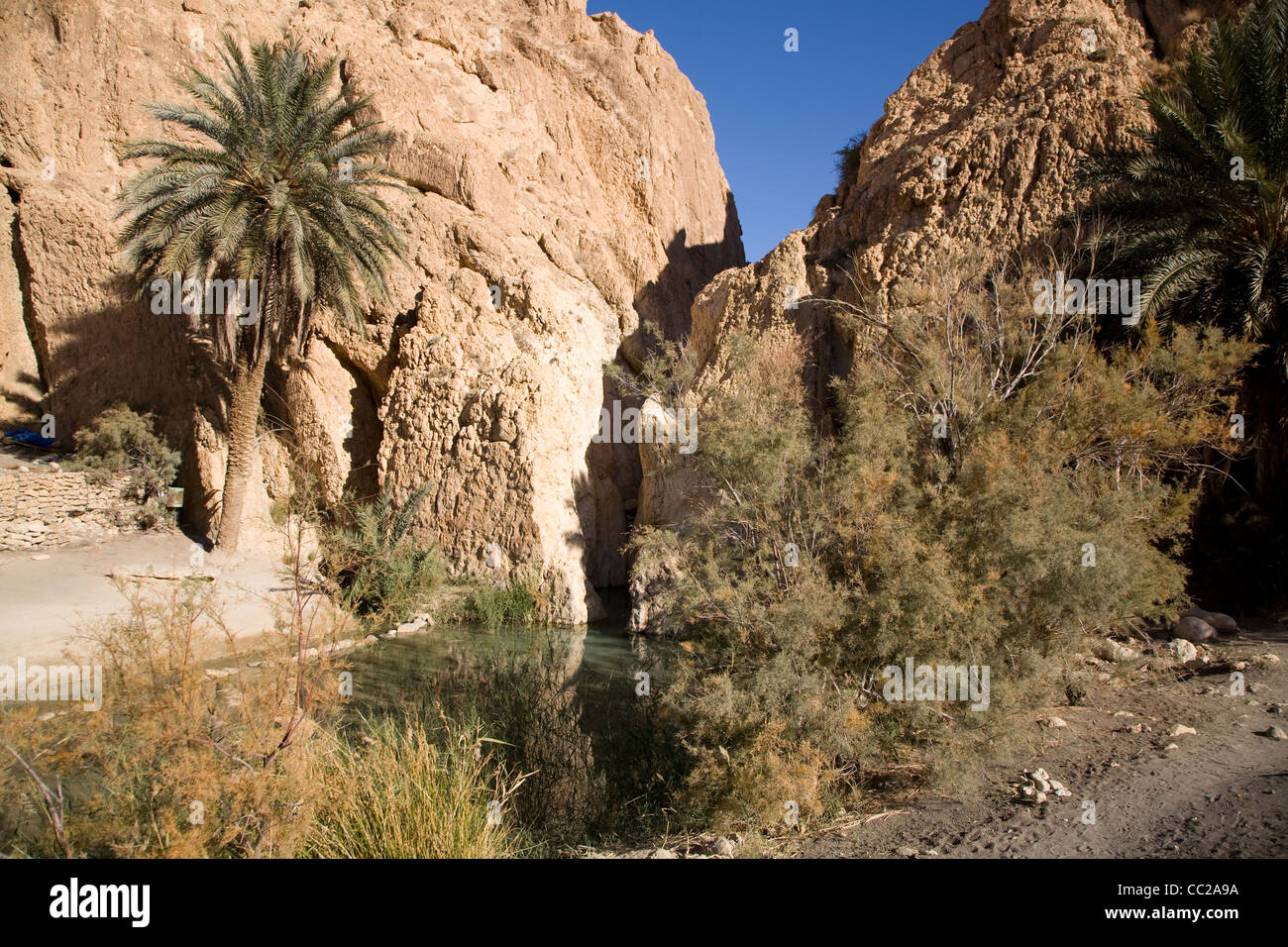 Oasis of chebika hi-res stock photography and images - Alamy