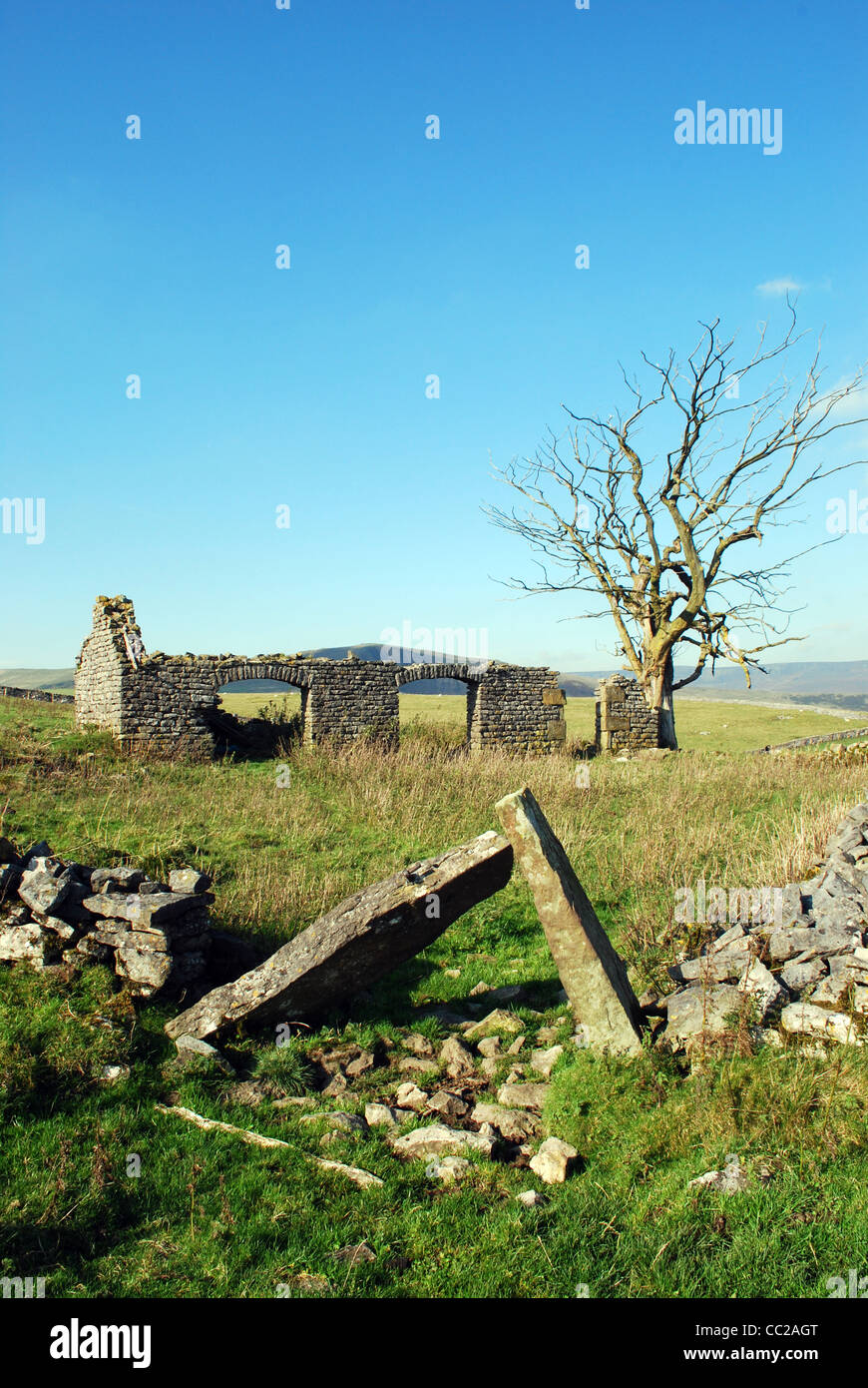 Decrepit tree hi-res stock photography and images - Alamy
