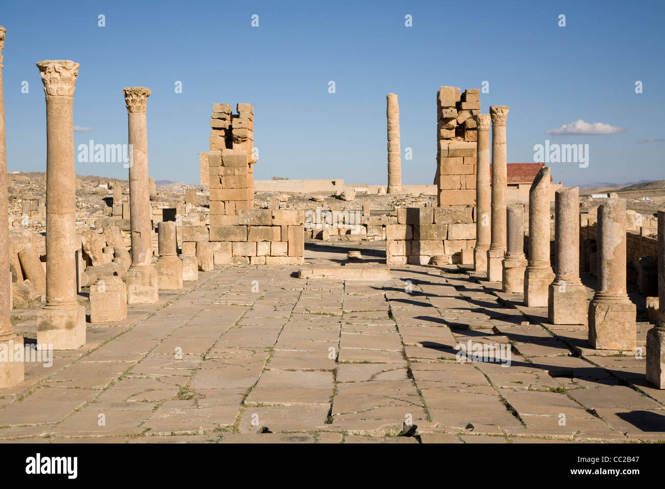 Haidra hi-res stock photography and images - Alamy