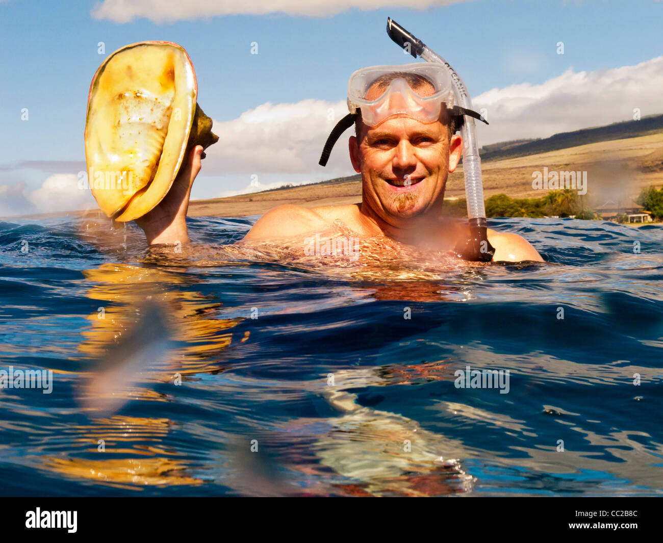 Giant helmet shell hi-res stock photography and images - Alamy