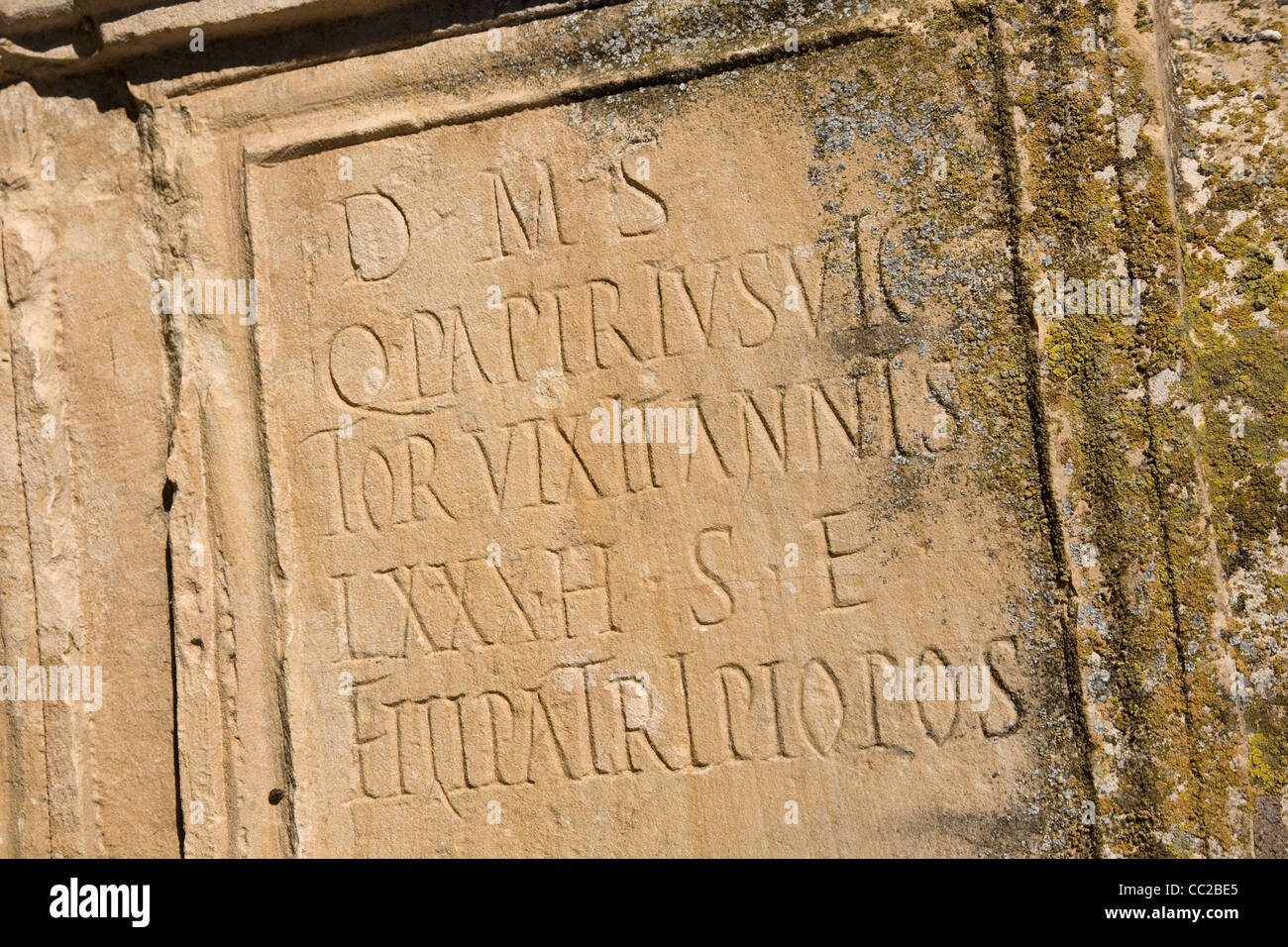 Haidra hi-res stock photography and images - Alamy