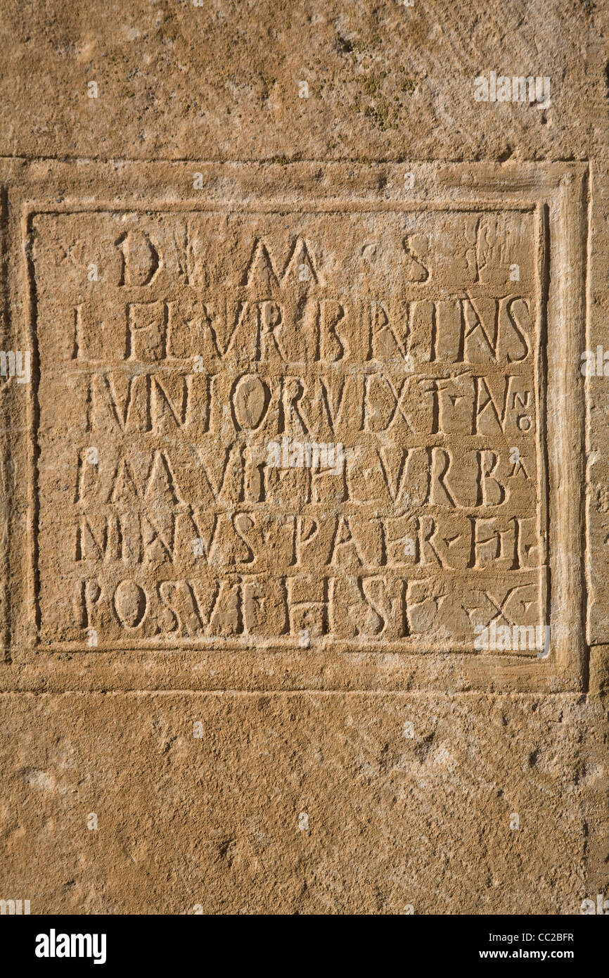 Haidra High Resolution Stock Photography and Images - Alamy