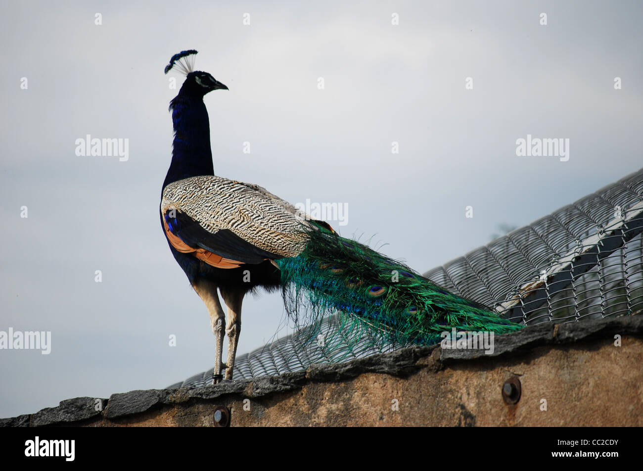 Korkeasaari hi-res stock photography and images - Alamy