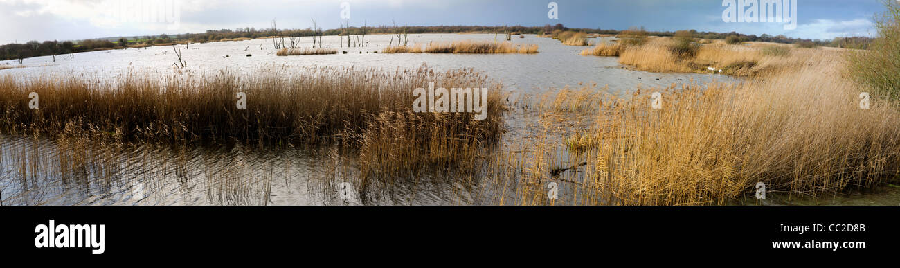 Shapwick heath national nature reserve hi-res stock photography and ...