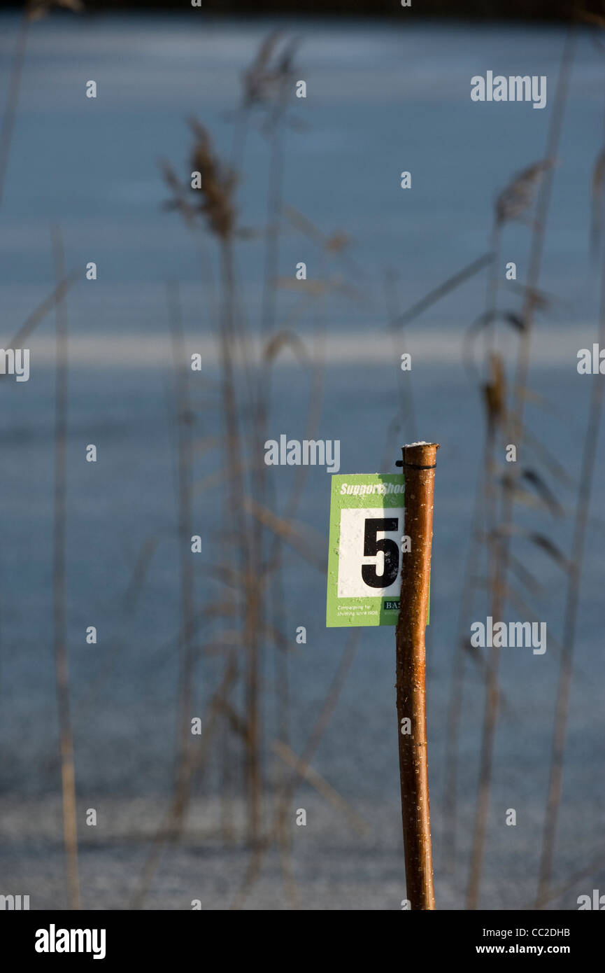 driven shoot peg marker Stock Photo - Alamy