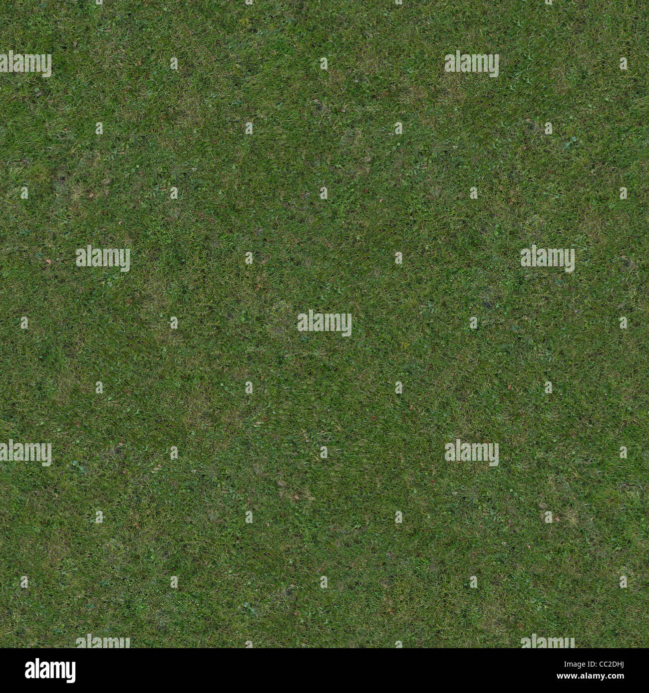 Clean seamless and tileable grass texture Stock Photo - Alamy