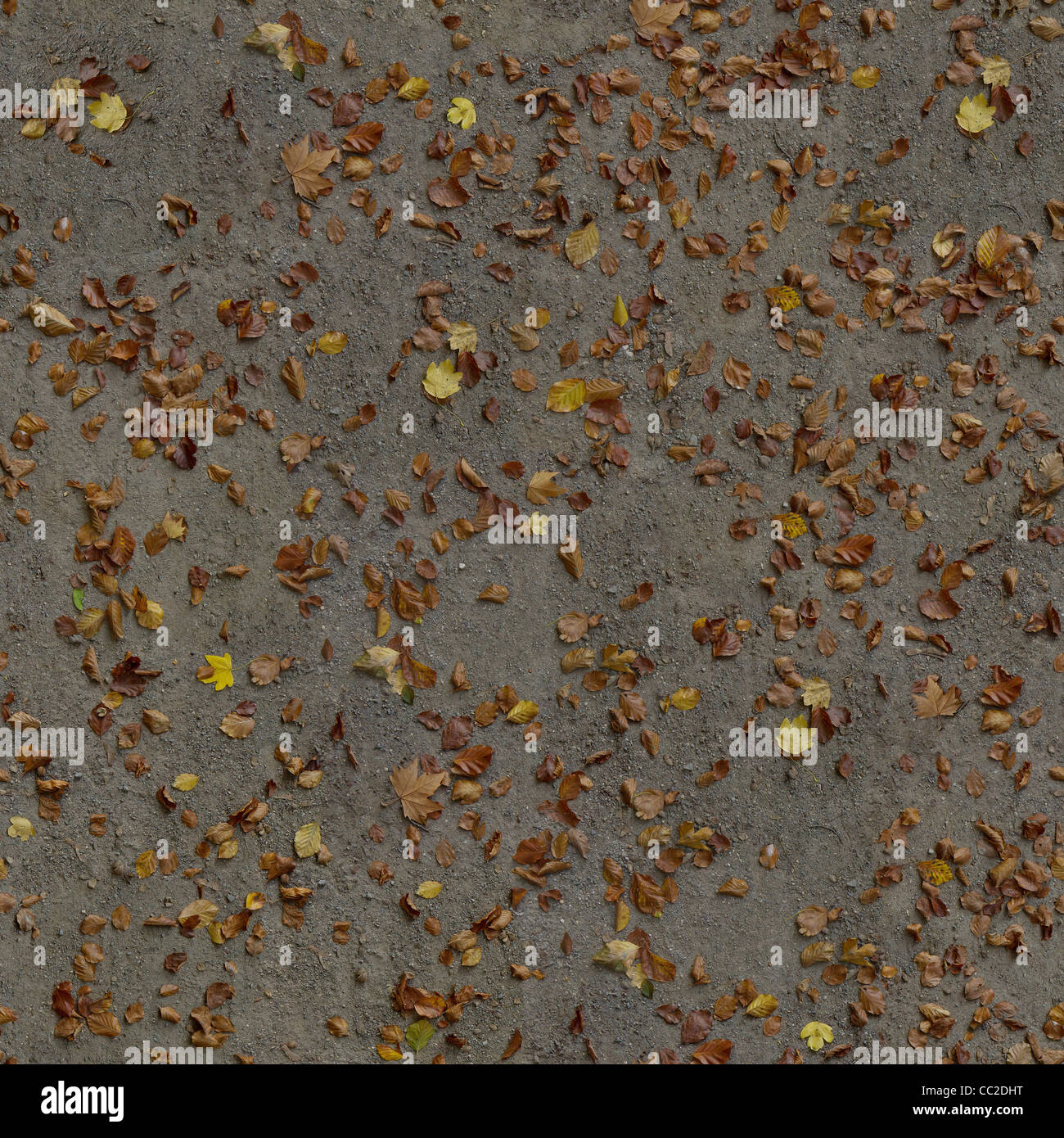 Seamless autumn sand texture with leaves Stock Photo - Alamy