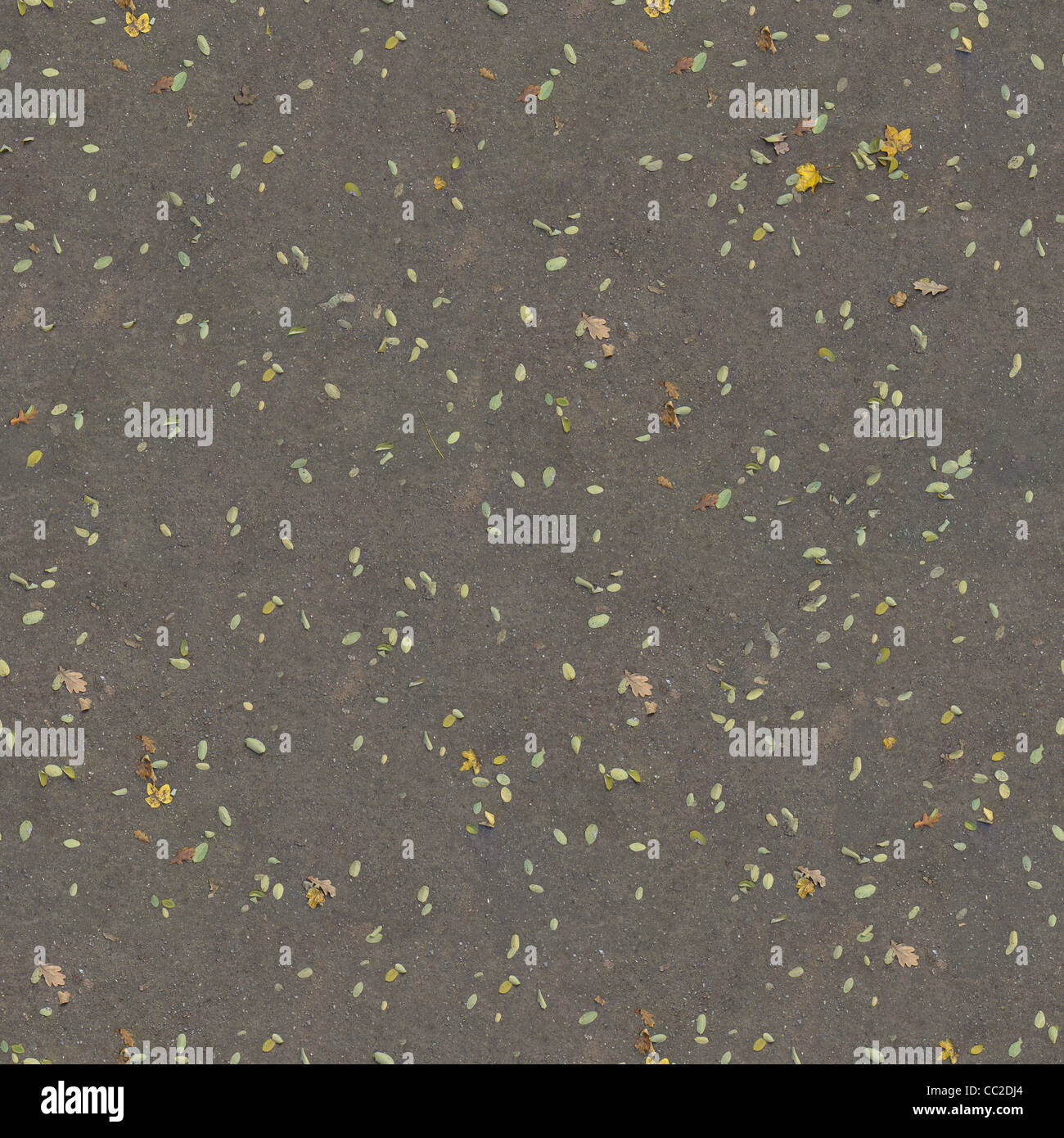 Seamless autumn sand texture with small leaves Stock Photo - Alamy