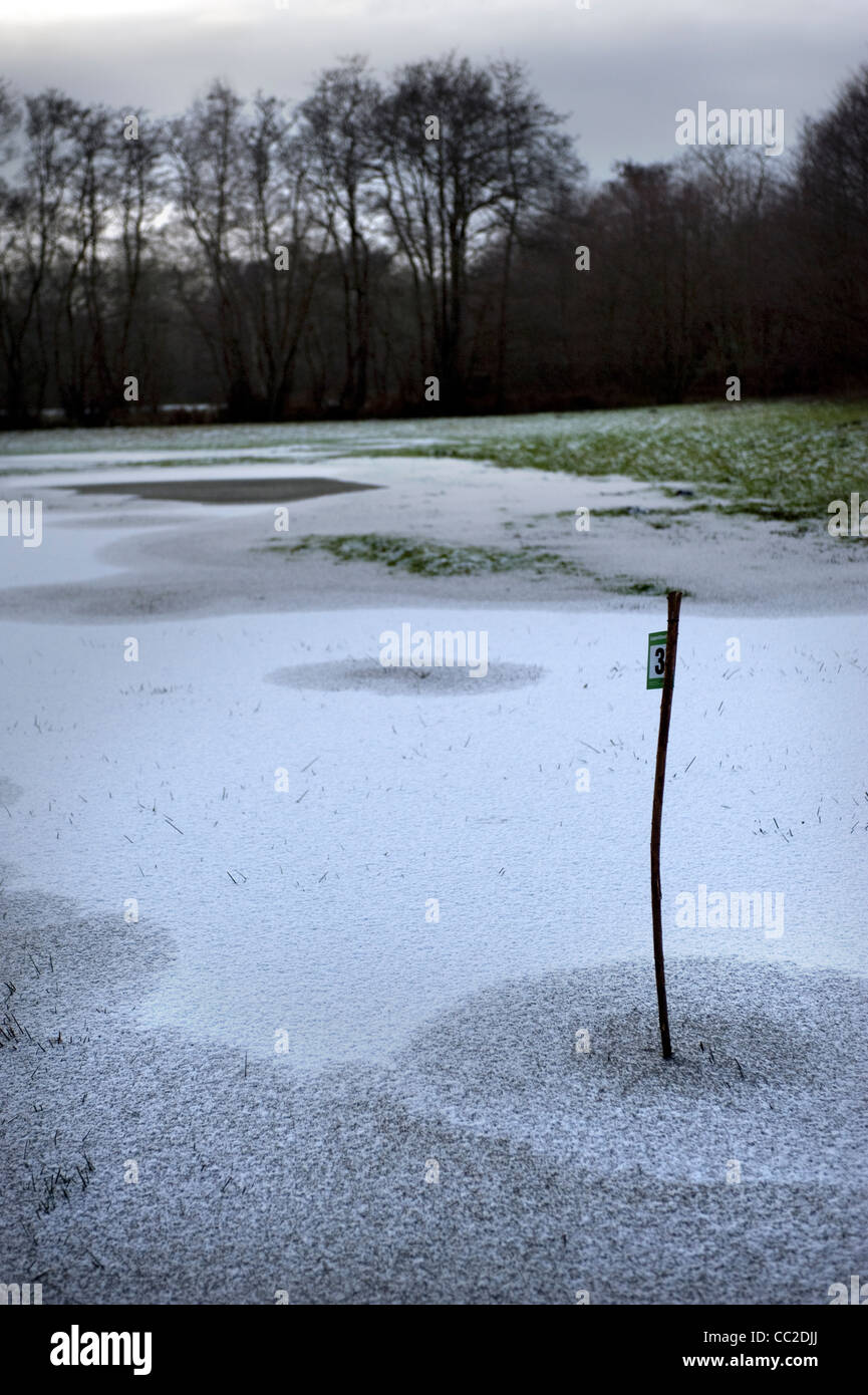 driven shoot peg marker Stock Photo - Alamy