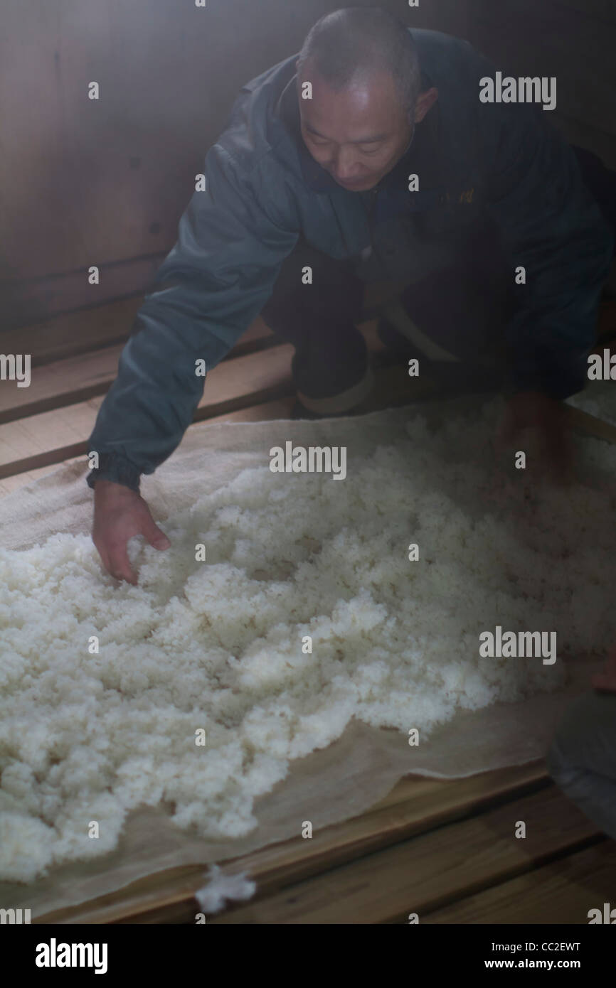 working with hot rice for make sake Stock Photo - Alamy